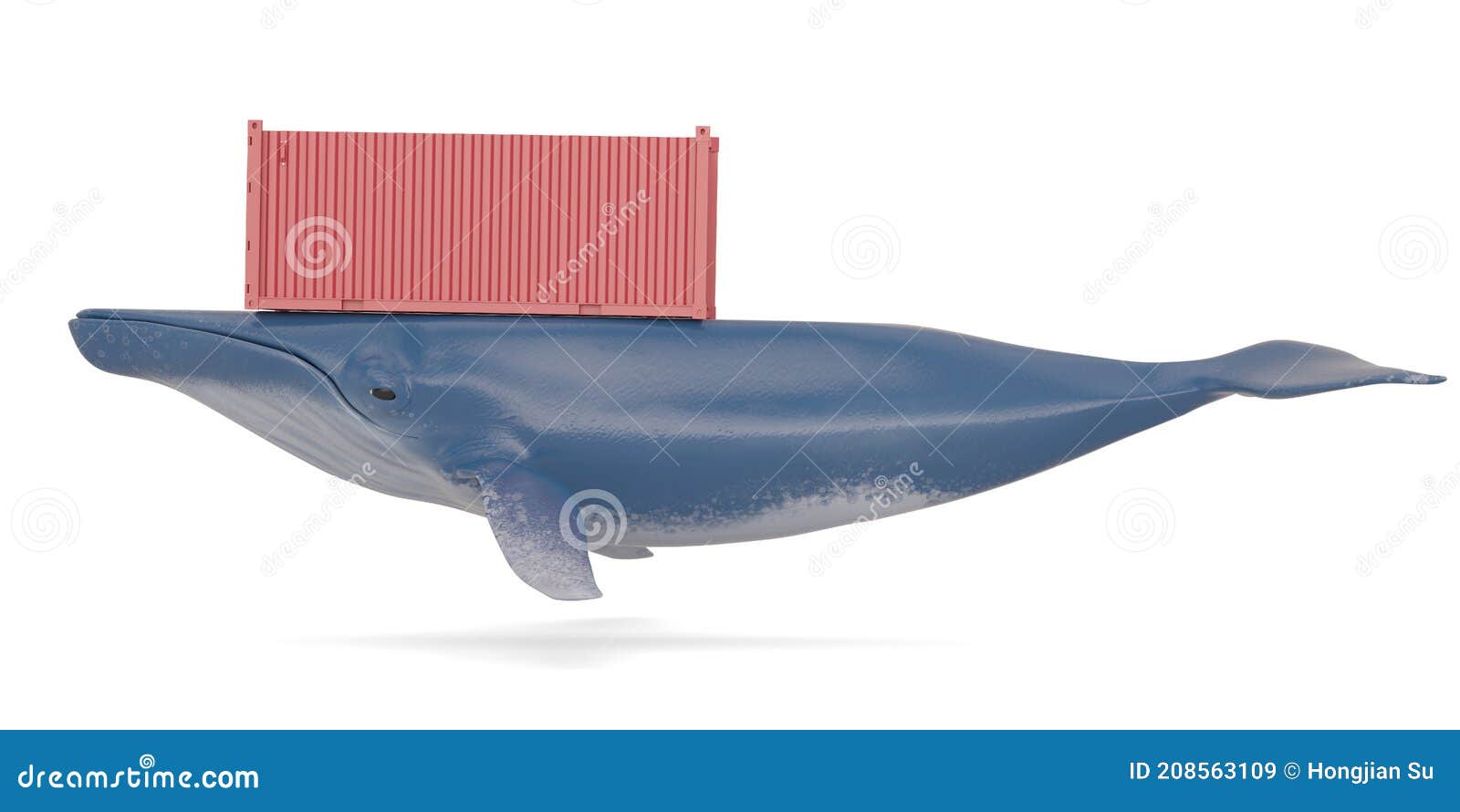 Whale And Container Computer Docker Developer App Concept Business Digital Open Source Program