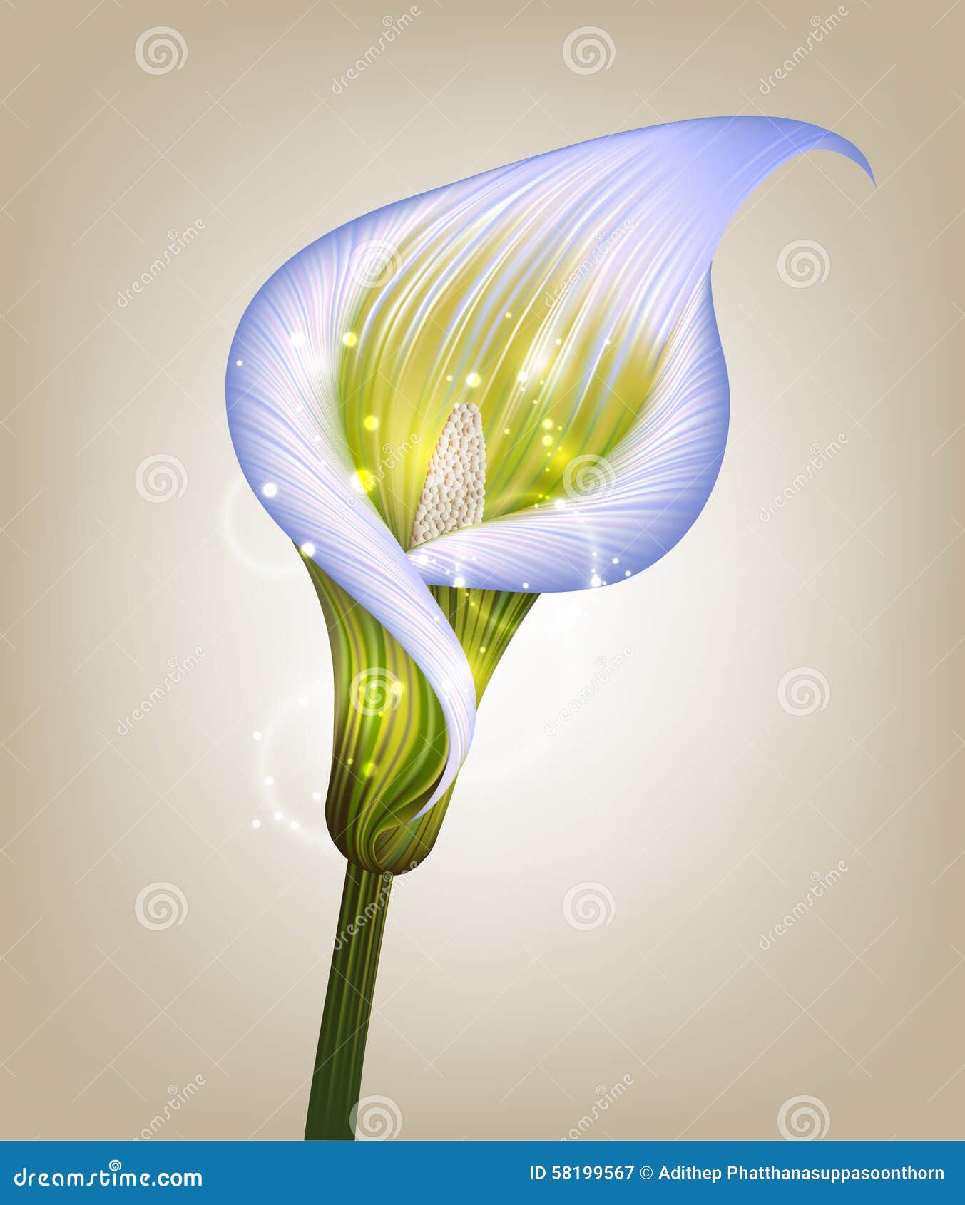 Creative Illustration of Purple Calla Lily Flower Stock Vector ...