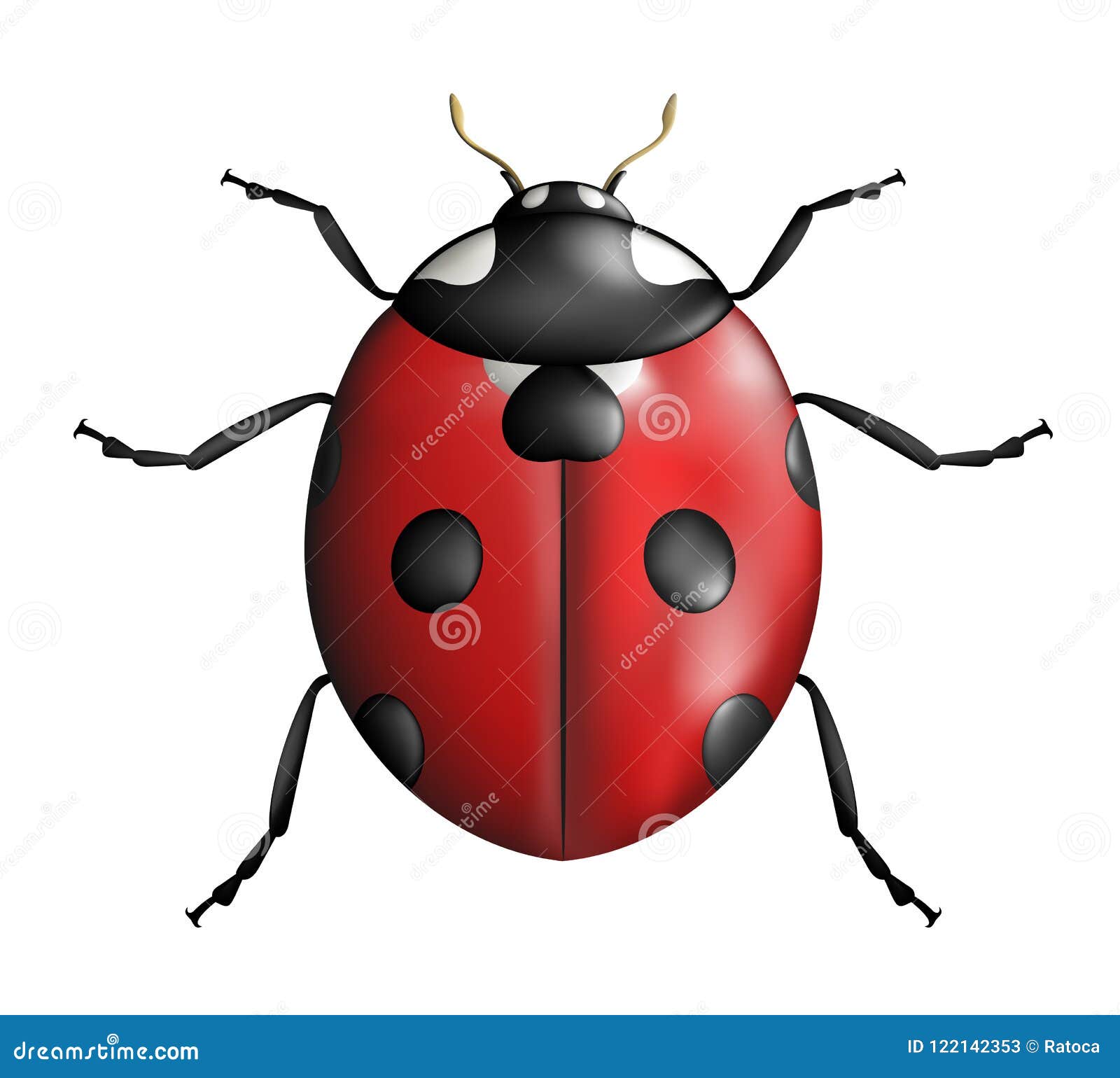 Design Of Ladybug Insect Model For 3D Pencil Cartoon Vector ...