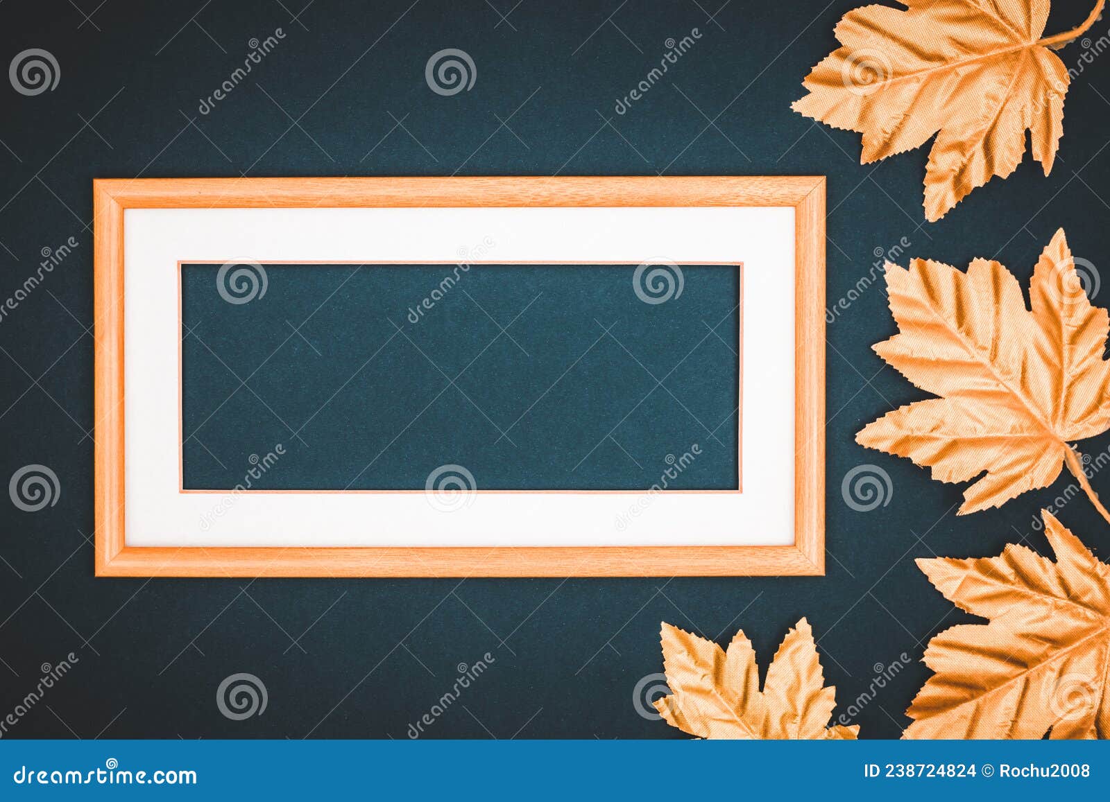 Creative Layout, Delicate Frame with a White Passe Partout with an ...