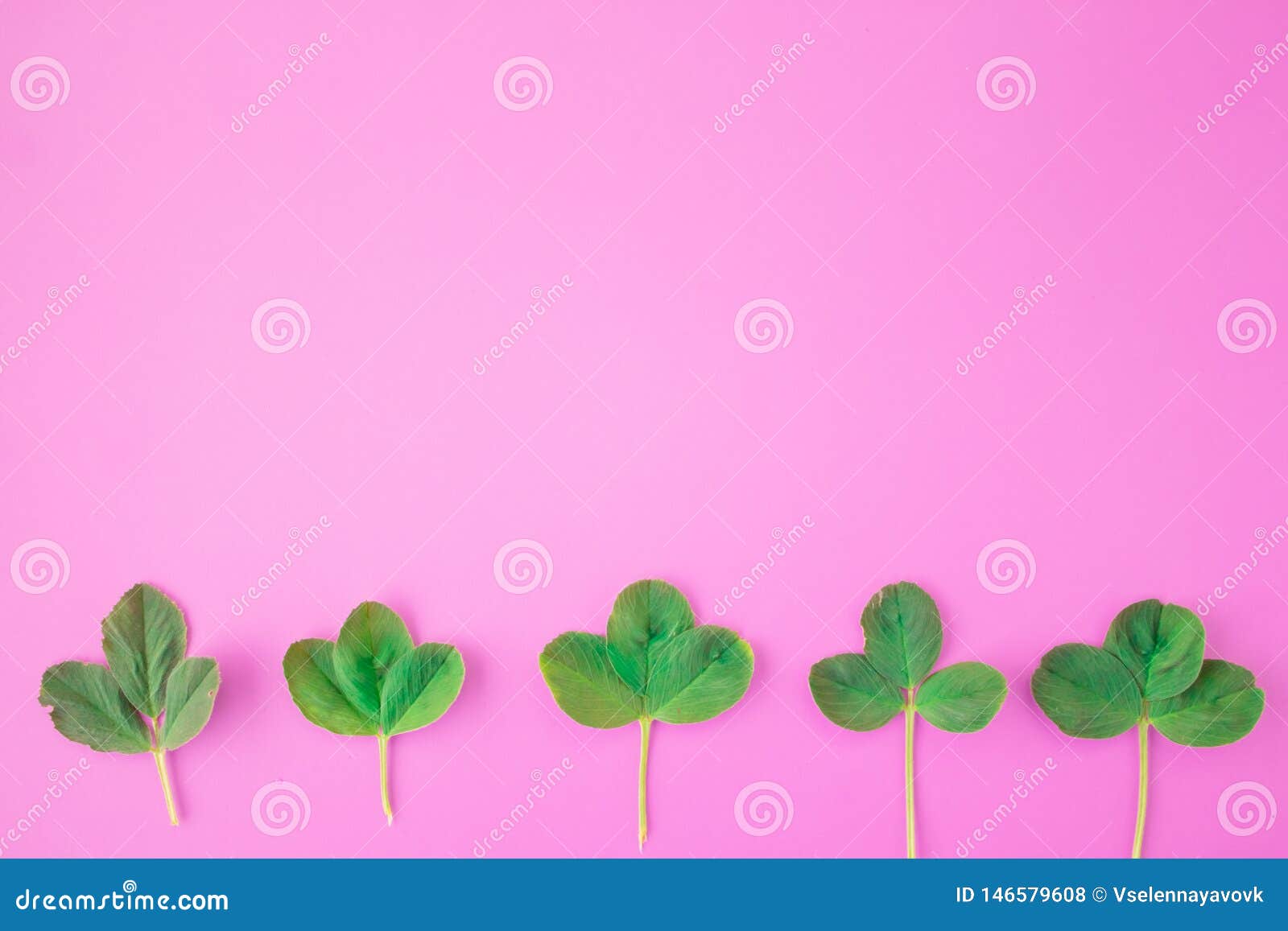 Creative Layout. Frame from Green Branches, Leaves on a Pink Background ...