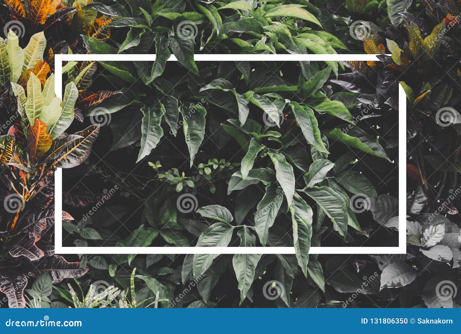 Creative Layout Green Leaves, Flat Lay Stock Photo - Image of view ...