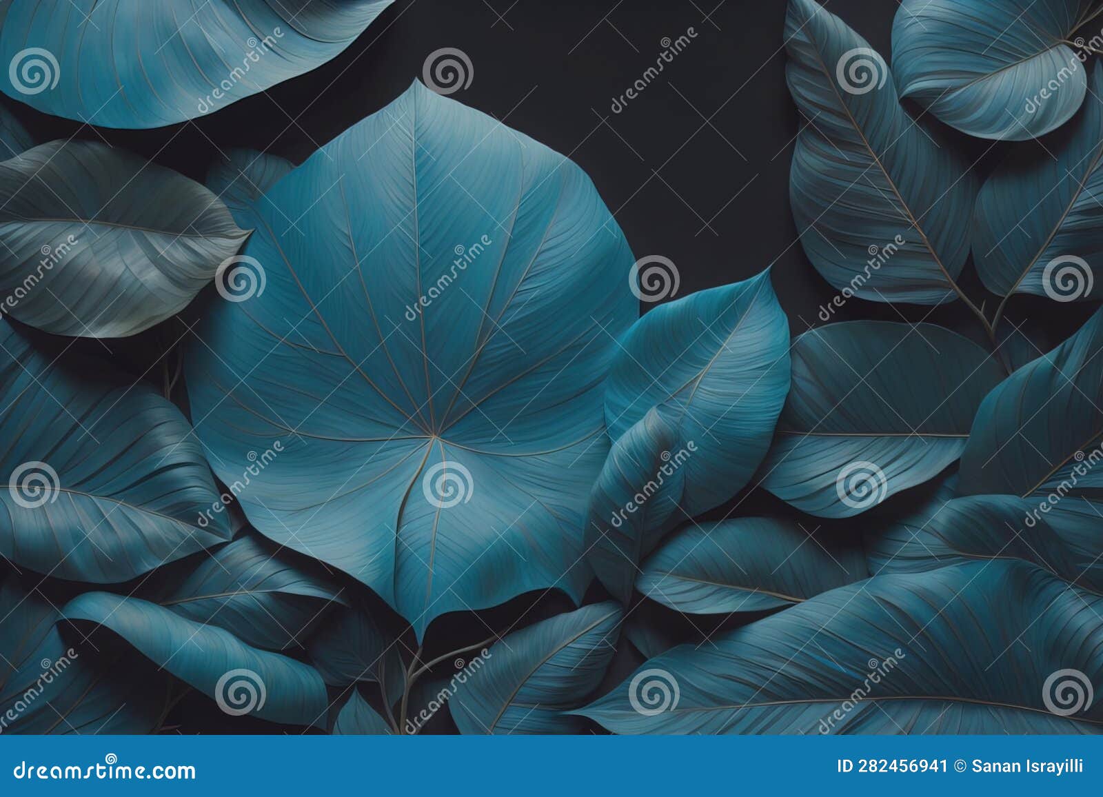 Creative Layout Made of Blue Monstera Leaves on Black Background. Flat ...