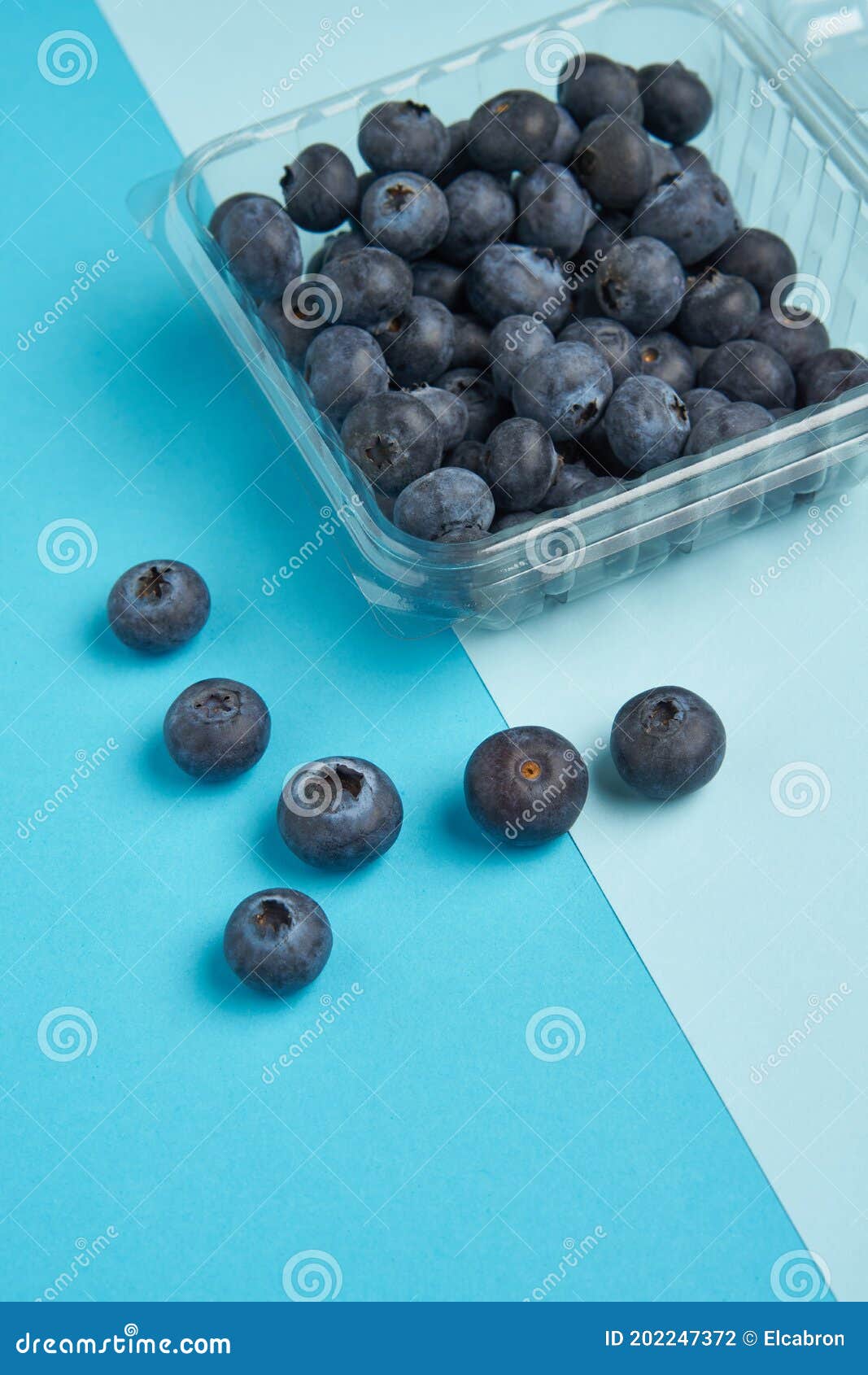 Creative Layout Made of Blueberry on Blue Background Stock Photo ...
