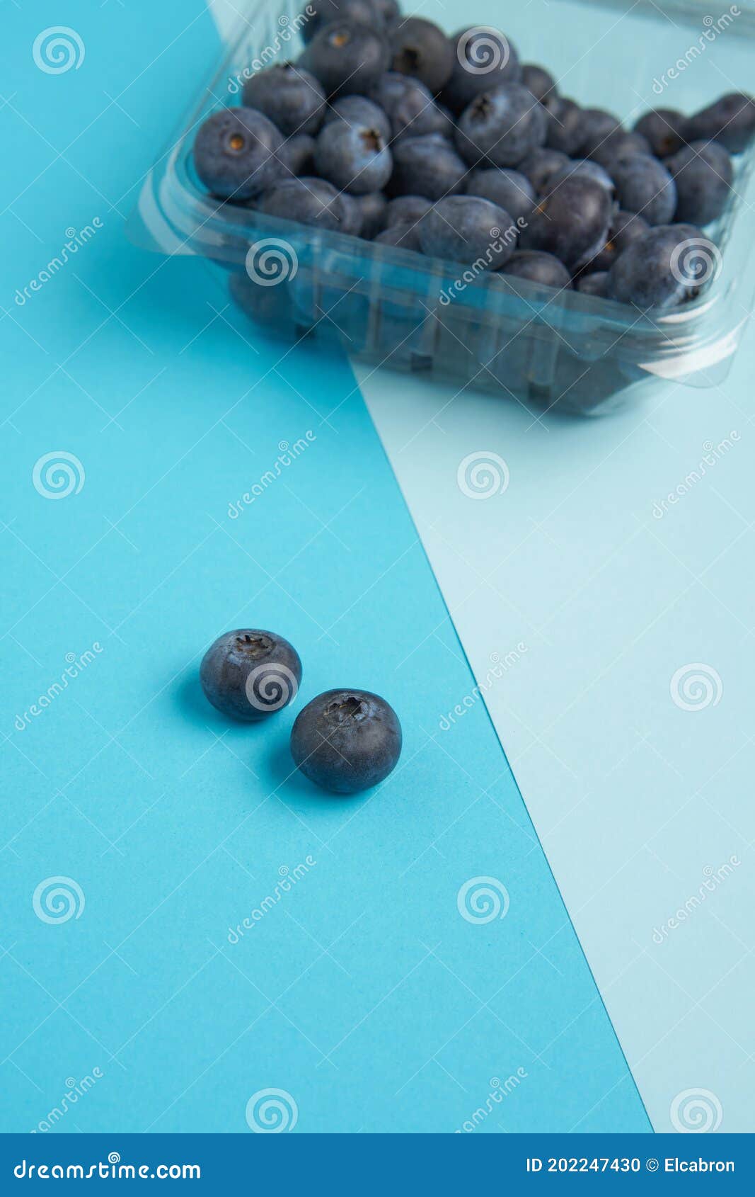 Creative Layout Made of Blueberry on Blue Background Stock Photo ...