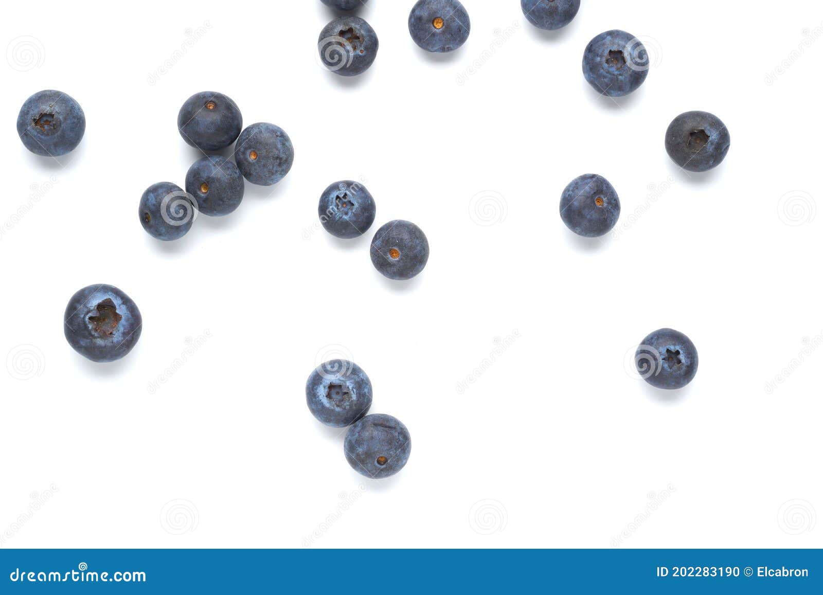 Creative Layout Made of Blueberry Isolated on White Background Stock ...