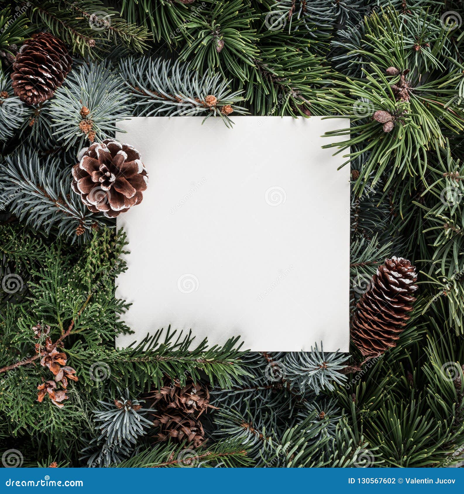 Creative Layout Made of Christmas Tree Branches with Paper Card Note ...