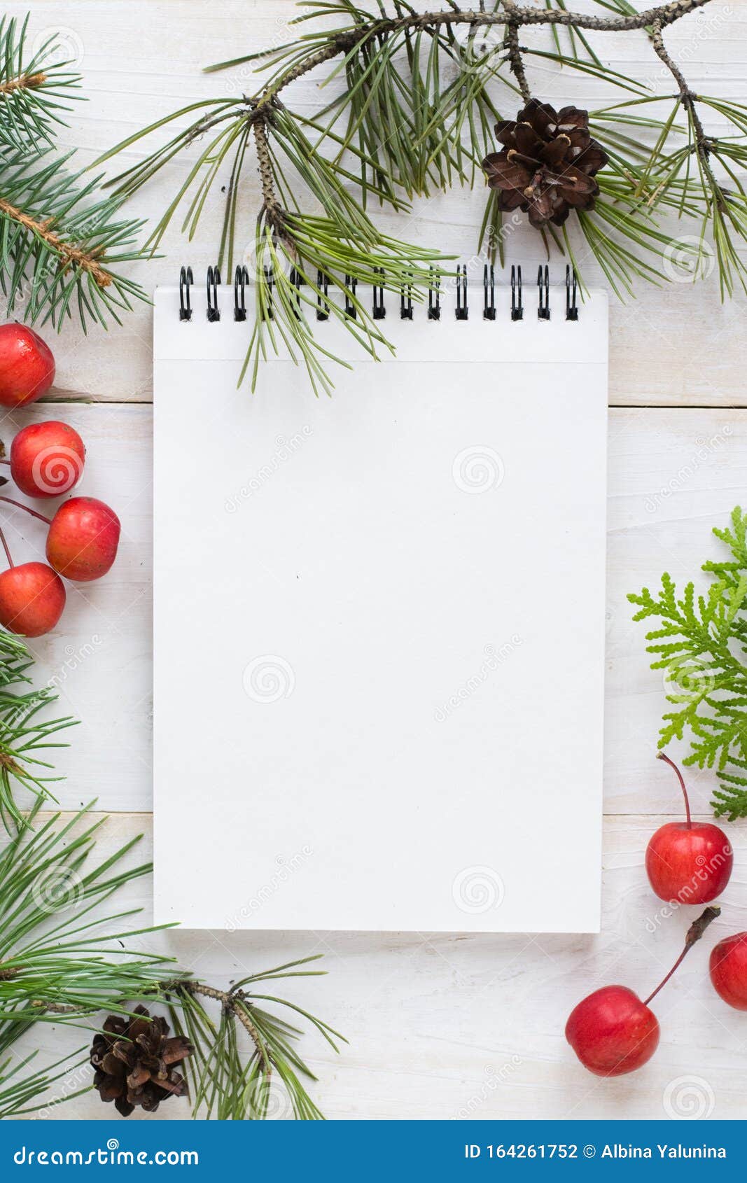 Creative Layout Made of Christmas Tree Branches with Paper Card Note ...