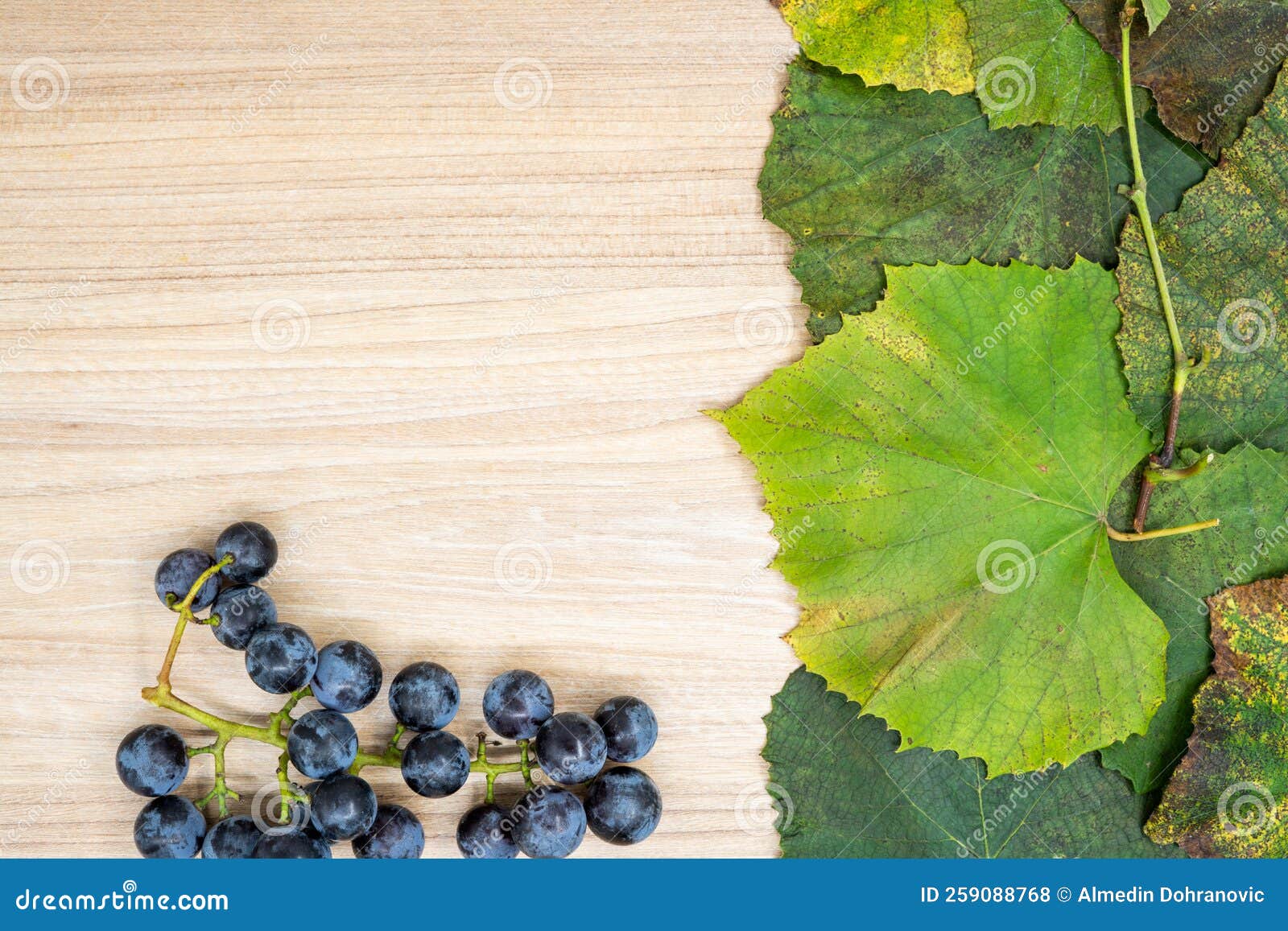 Creative Layout Made of Grape Leaves and Fresh Fruit in Autumn on the ...