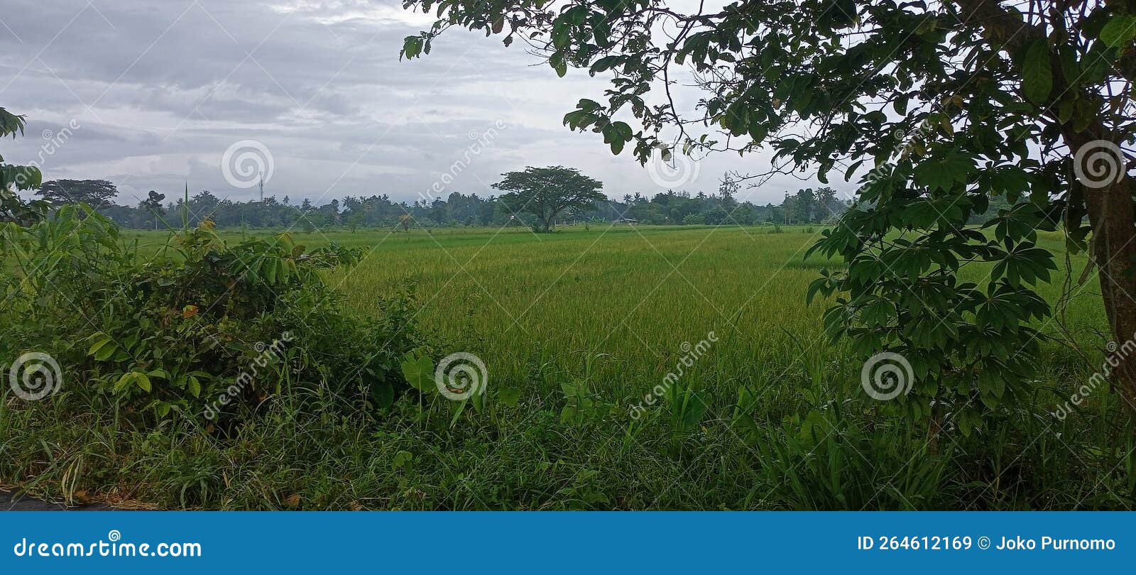 Creative Layout Made of Green Fields. Lay Flat Stock Image - Image of ...