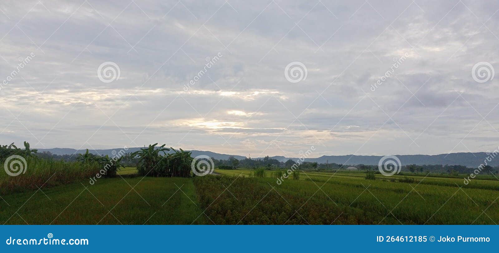 Creative Layout Made of Green Fields. Lay Flat Stock Image - Image of ...