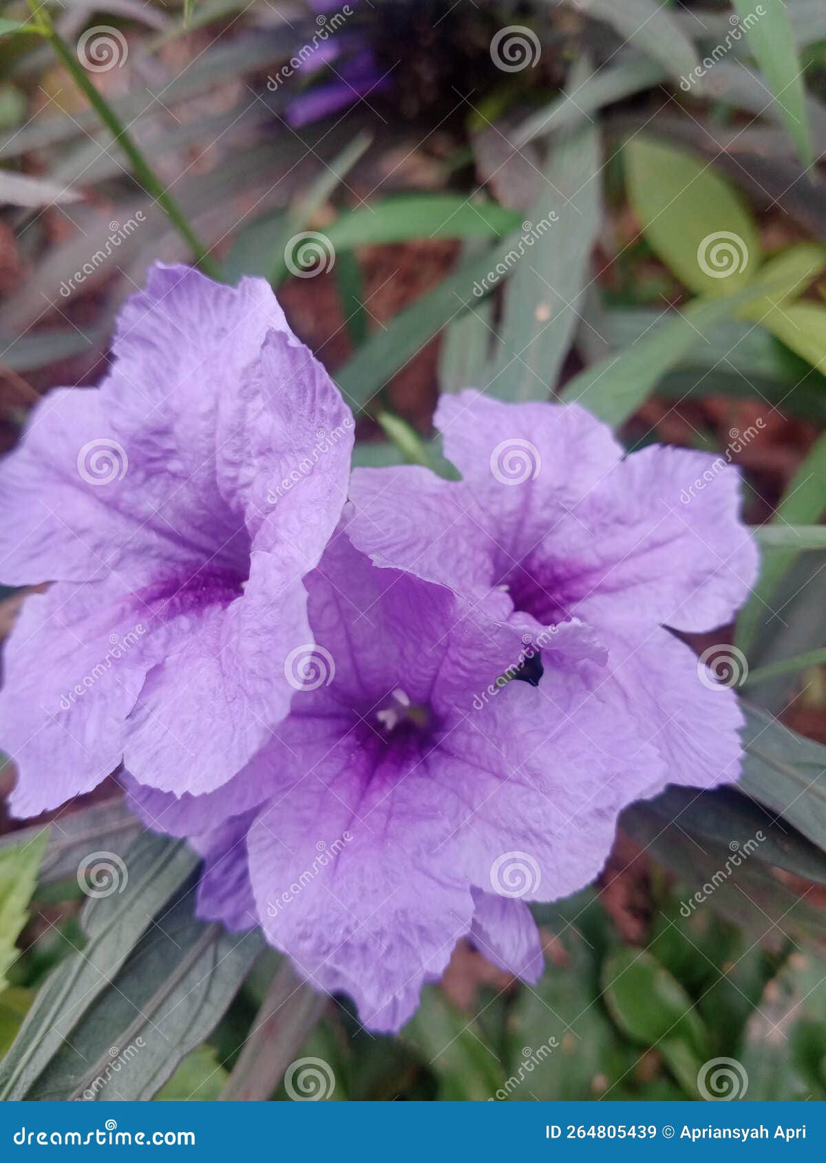 Creative Layout Made of Green Leaf and Flowers Purple . Flat Lay Stock ...