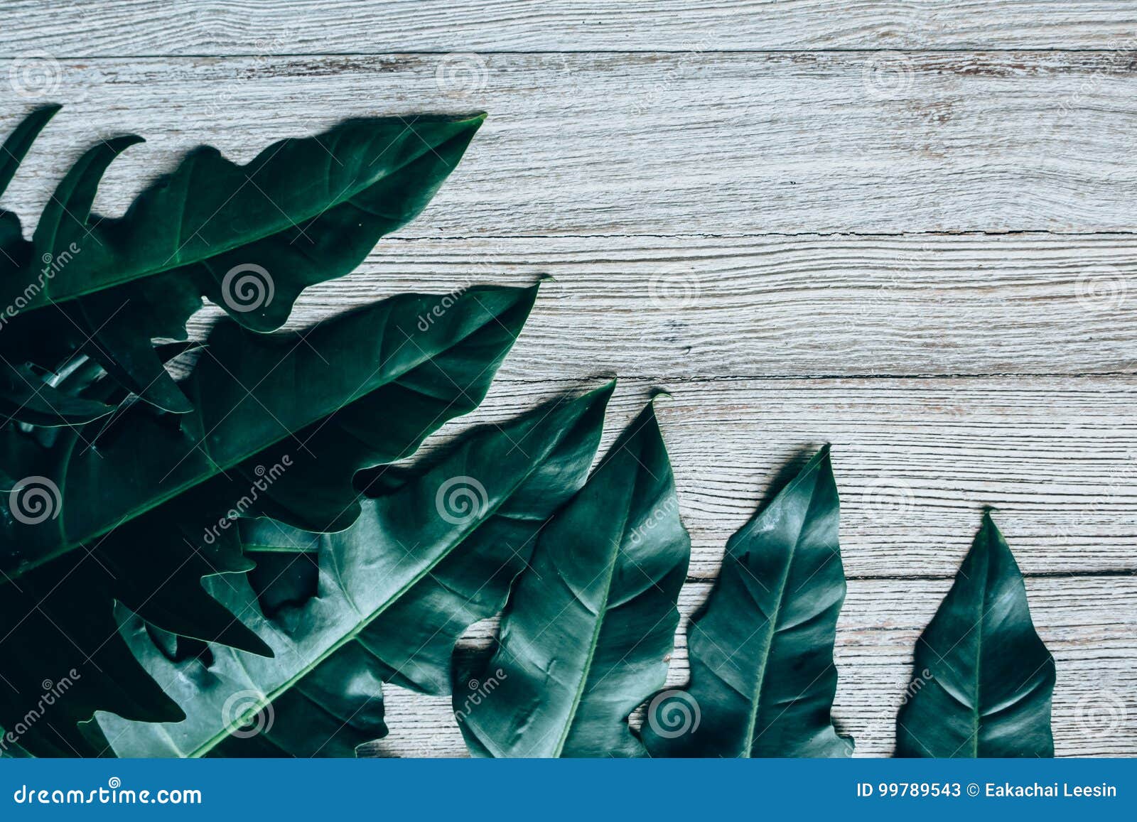 Creative Layout Made of Green Leaves Stock Image - Image of green ...