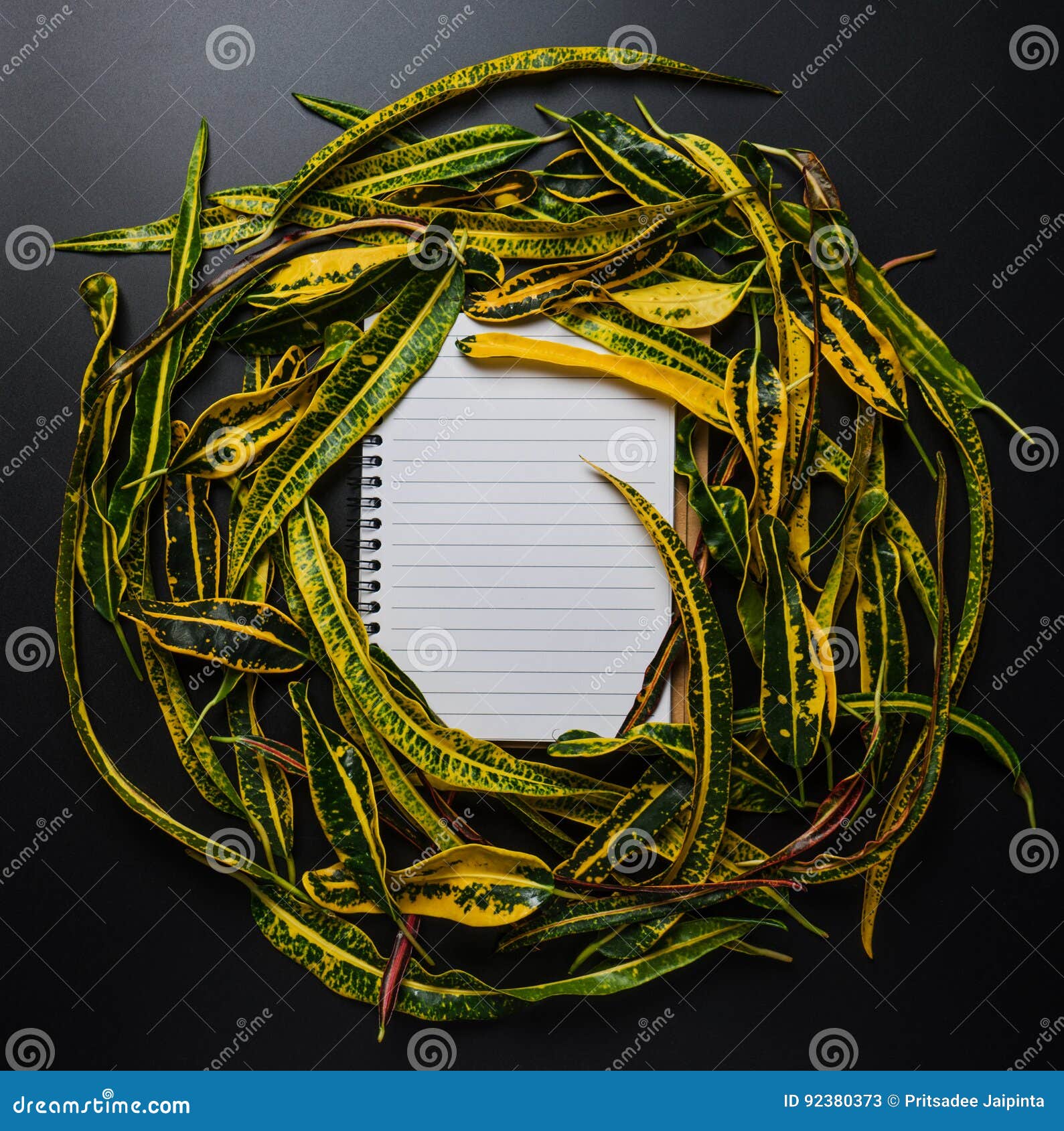 Creative Layout Made of Leaves with Paper Note Book. Stock Image ...