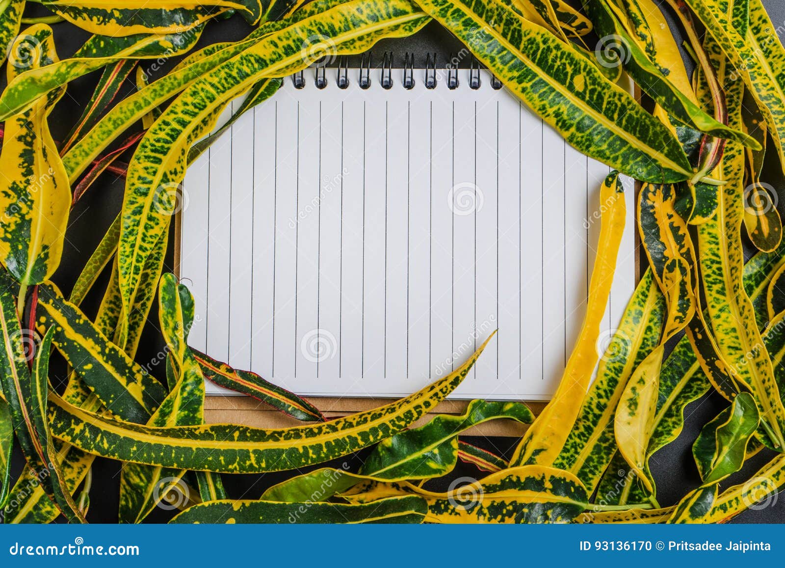 Creative Layout Made of Leaves with Paper Note Book. Stock Photo ...