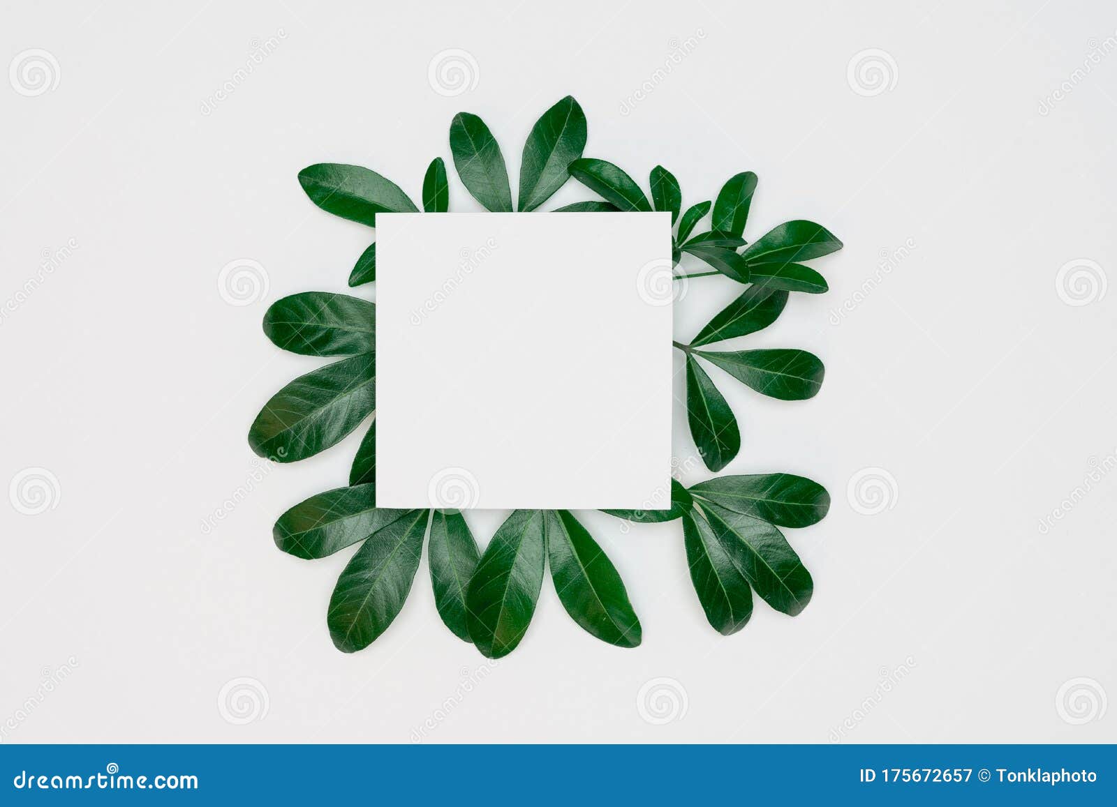 Creative Layout Made of Papers and Leaves Flat Lay. Minimal Nature ...