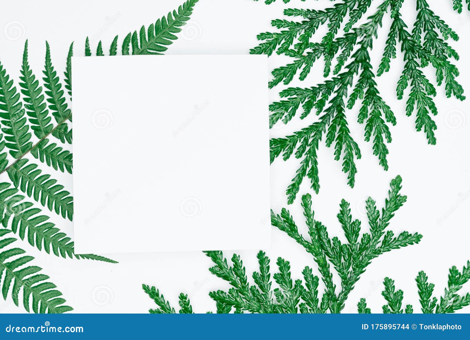 Creative Layout Made of Papers and Leaves Flat Lay. Minimal Nature ...