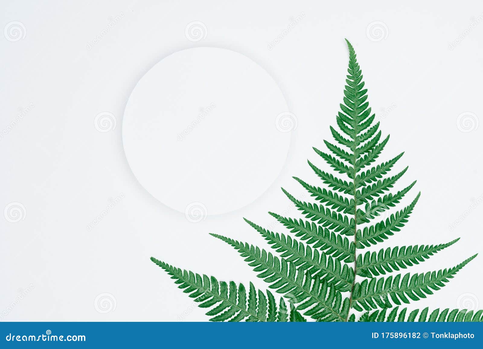 Creative Layout Made of Papers and Leaves Flat Lay. Minimal Nature ...