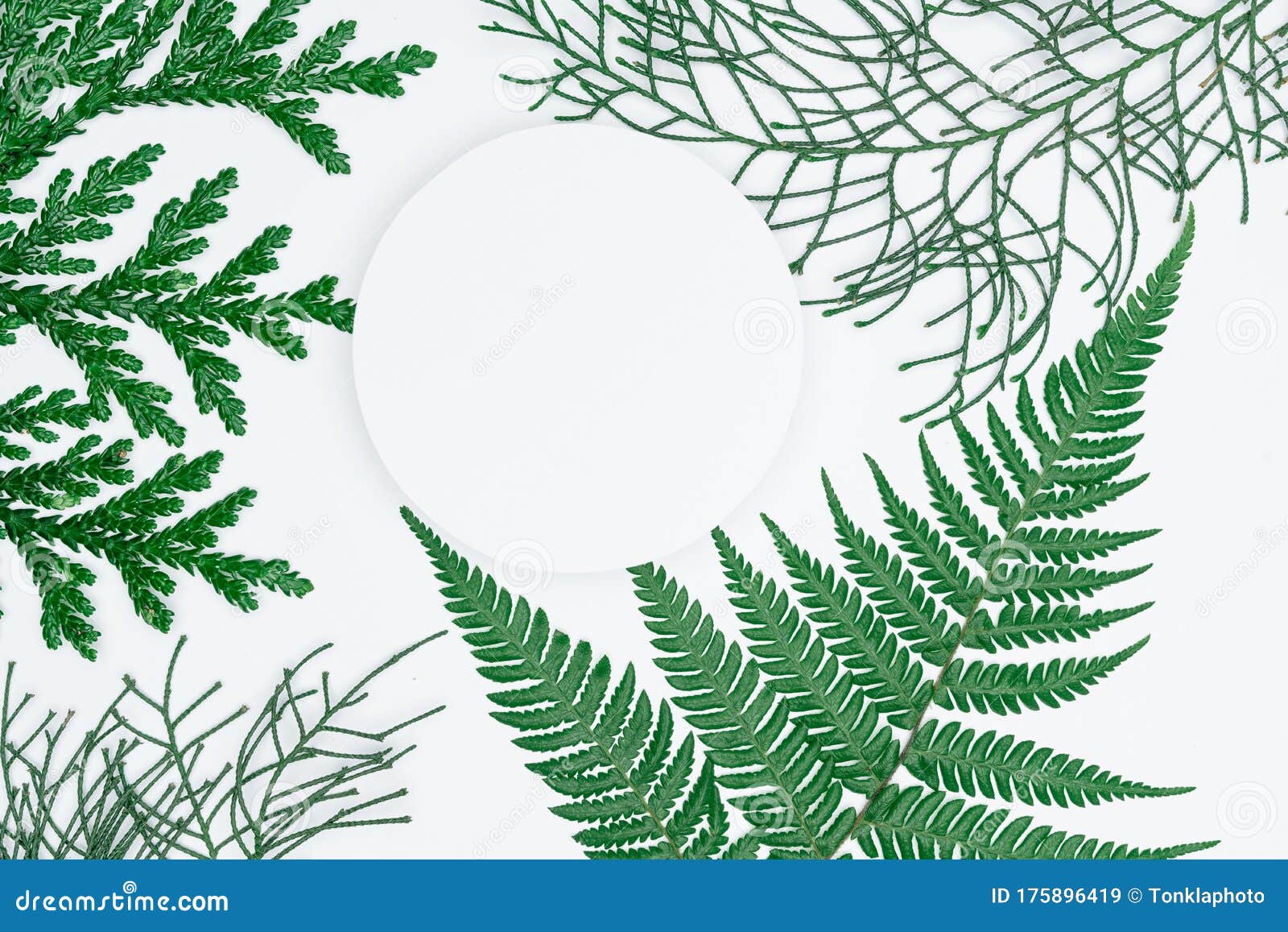 Creative Layout Made of Papers and Leaves Flat Lay. Minimal Nature ...