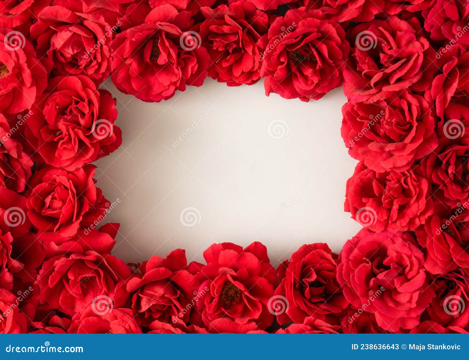 Creative Layout Made of Red Rose Flowers with Copy Space. Valentines ...
