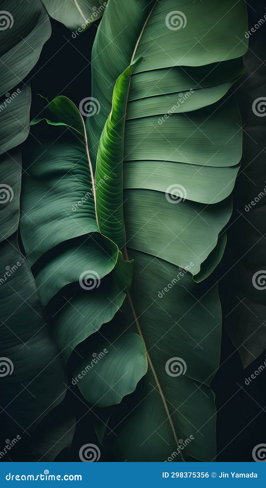 Creative Layout Made of Tropical Leaves. Flat Lay. Nature Concept Stock ...