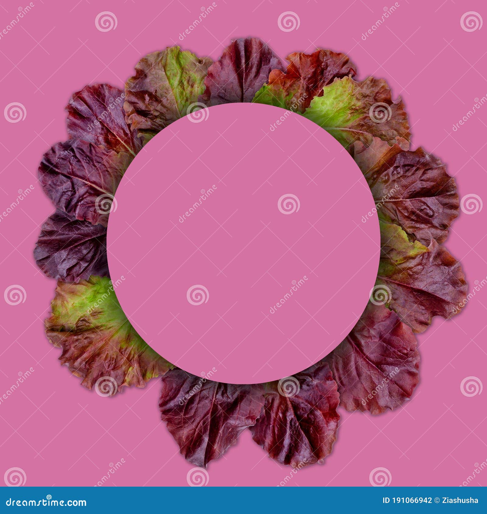 Creative Layout of Maroon Lettuce Leaves with a Note Card Stock ...