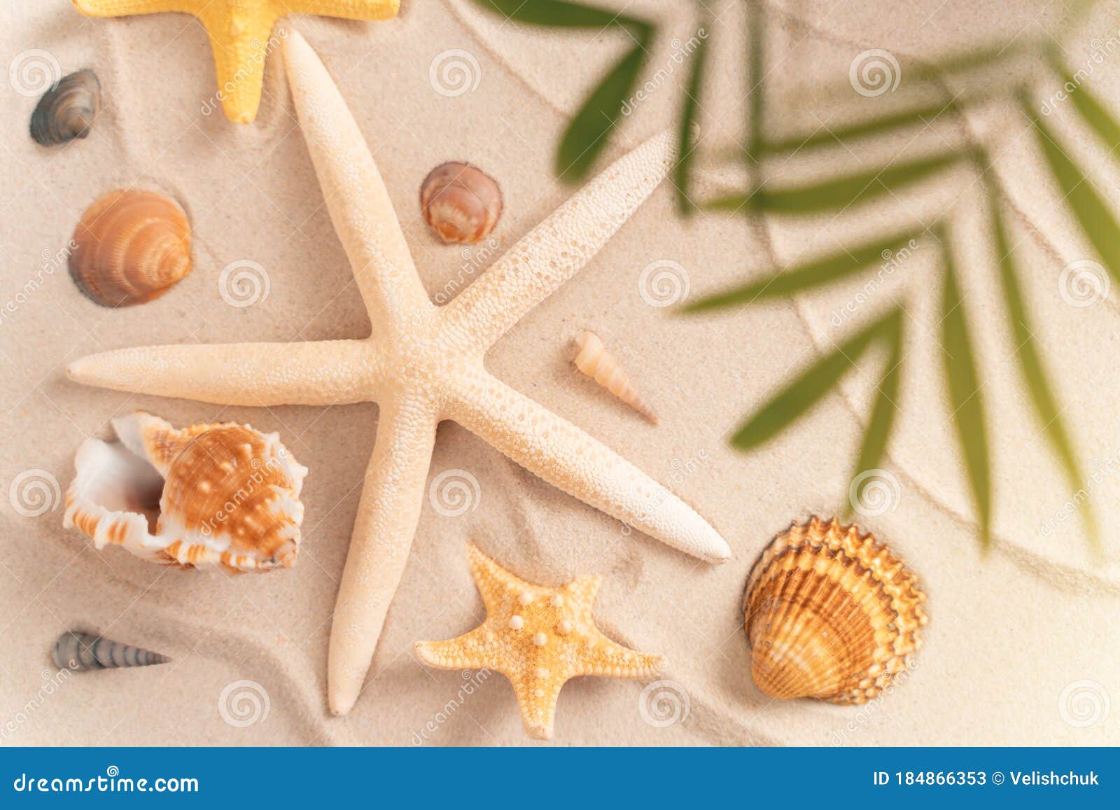 Creative Layout of Sand Waves and Sea, Summer Beach Background Stock ...