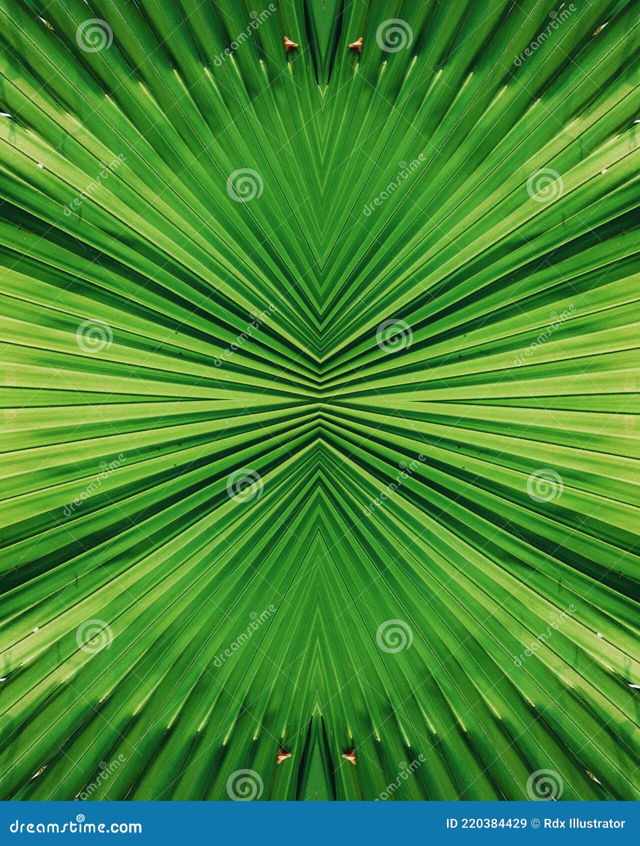 A Creative Leaves Design Abstract Background Design Stock Image - Image ...