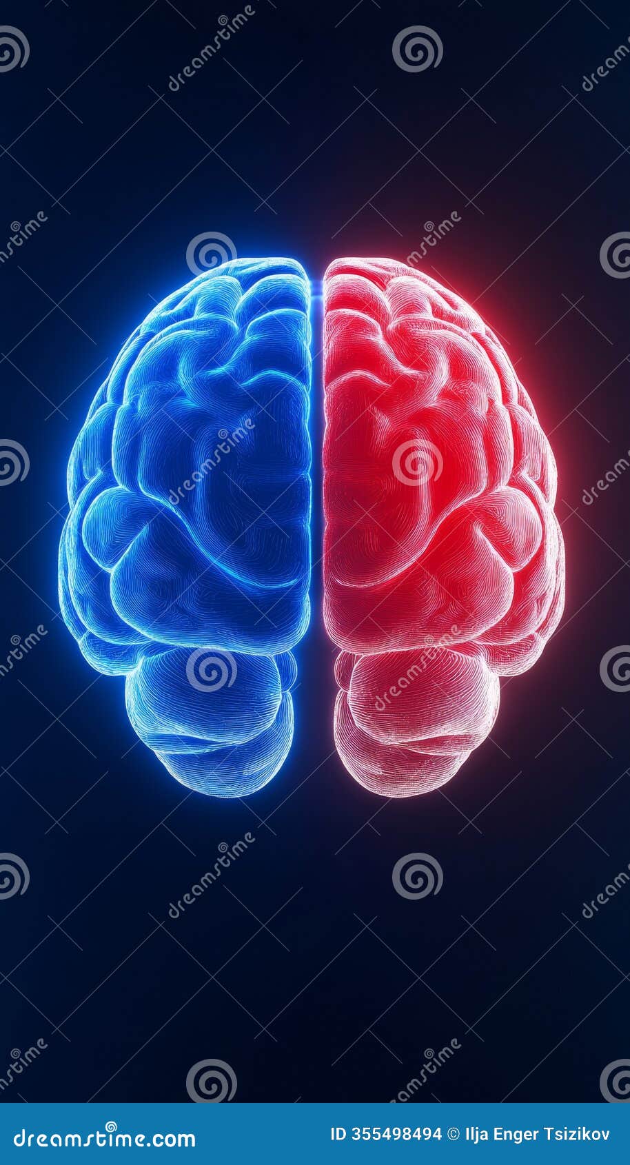 Creative and Logical Thinking, Human Brain, Left and Right Hemispheres ...