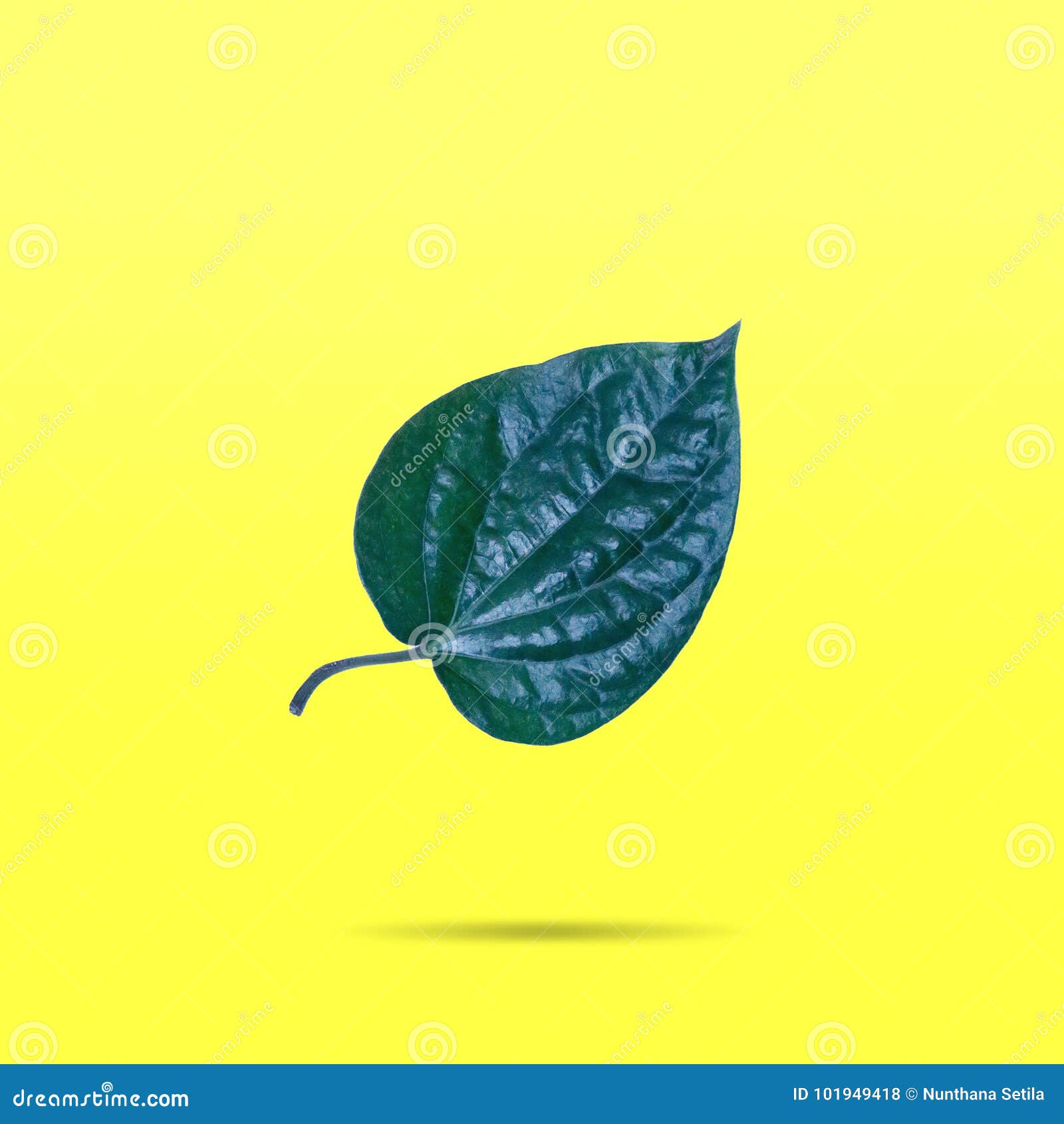 Creative Minimal Arrangement of Leave on Yellow Background. Minimal ...