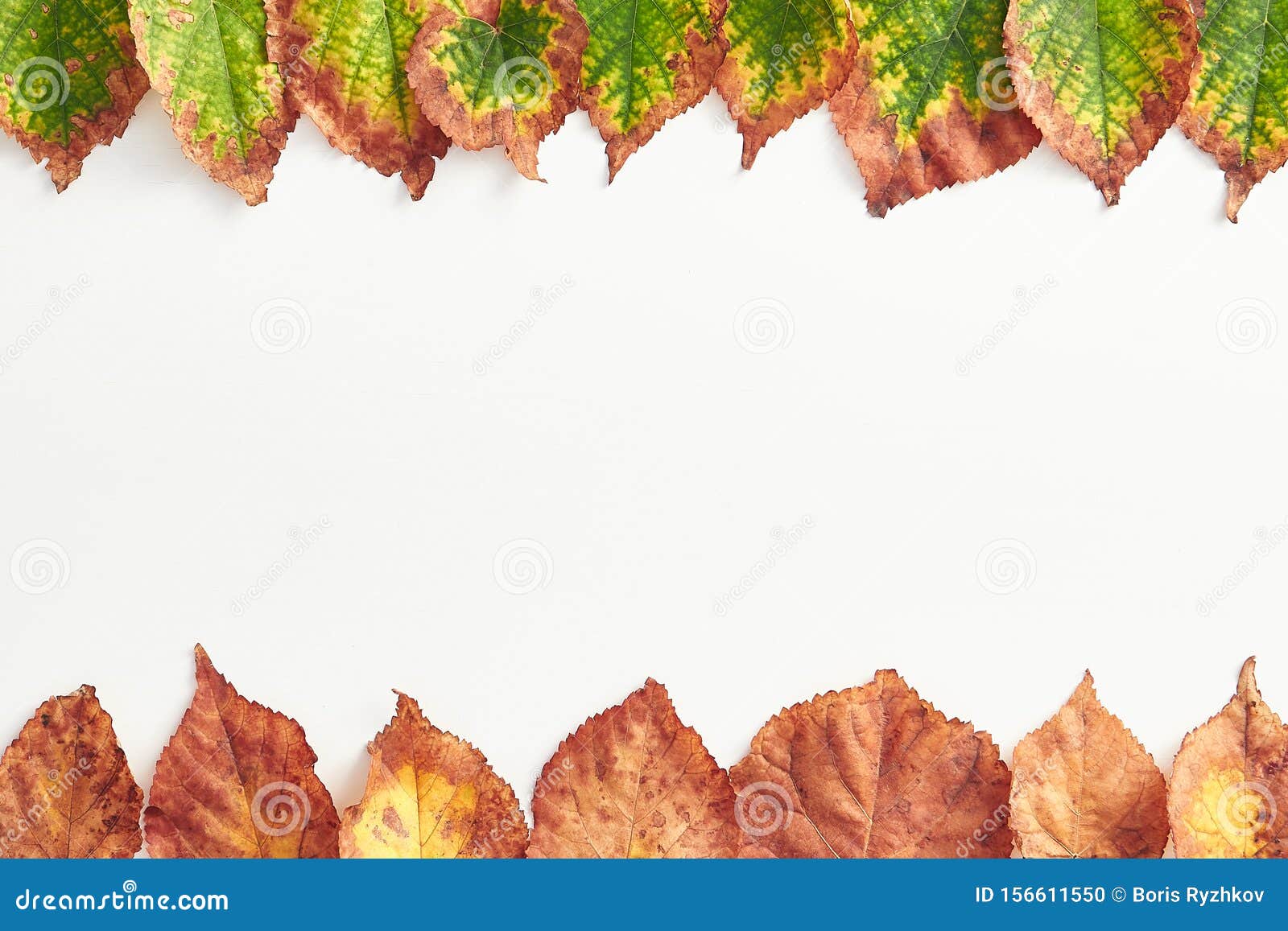 Creative Minimal Autumn Concept Stock Photo - Image of forest, minimal ...