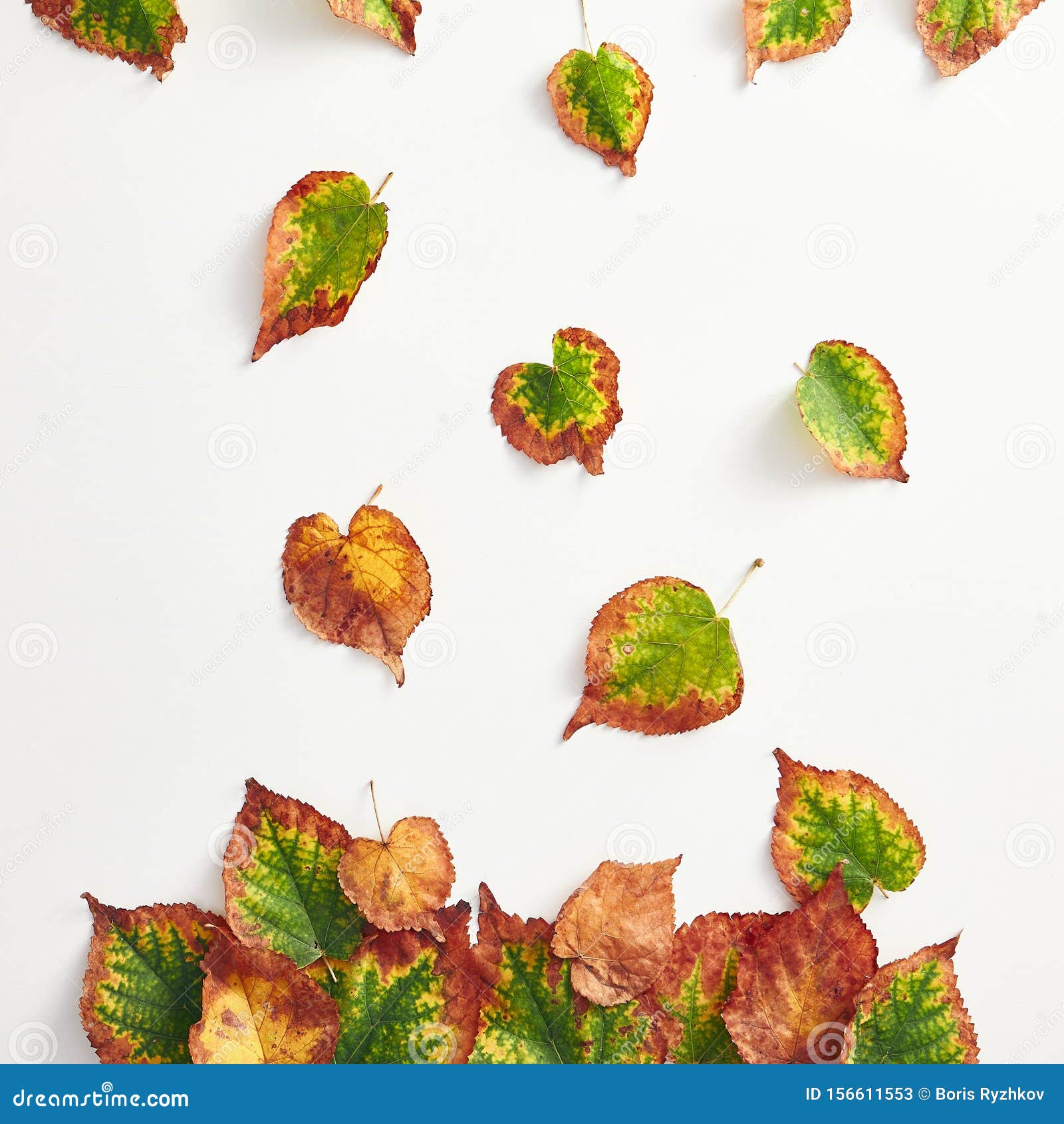 Creative Minimal Autumn Concept Stock Image - Image of flat, creative ...