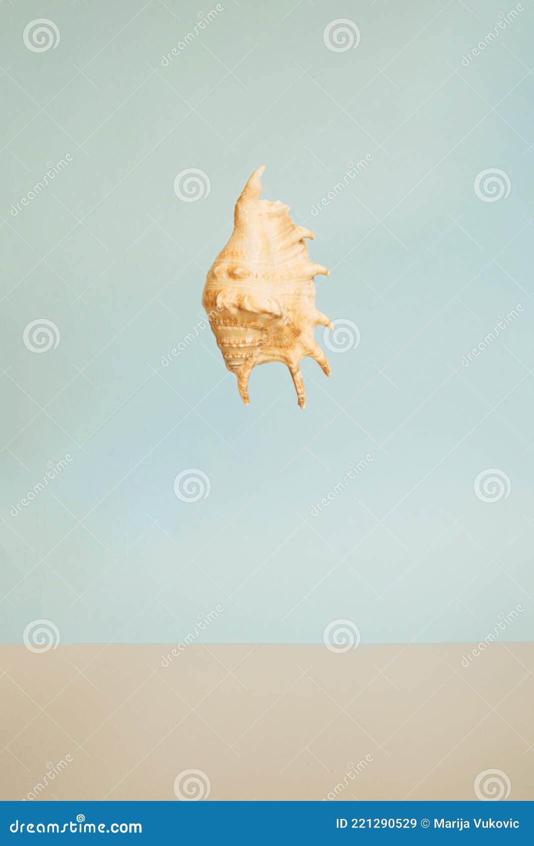 Creative Minimal Idea with Seashell on a Summer Background.abstract ...
