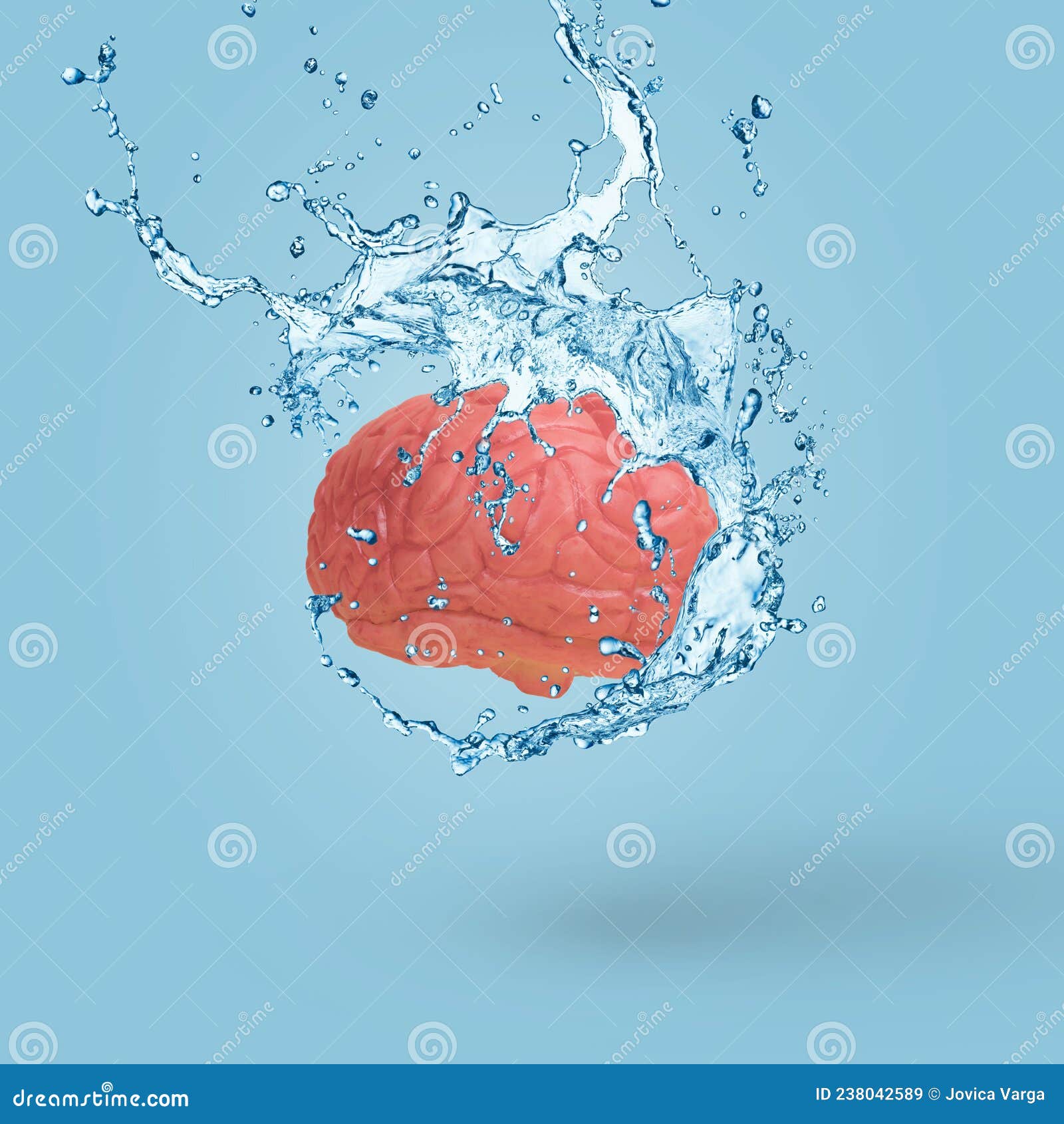 Creative Minimal Scene with a Human Brain and Water Splash Stock Image ...