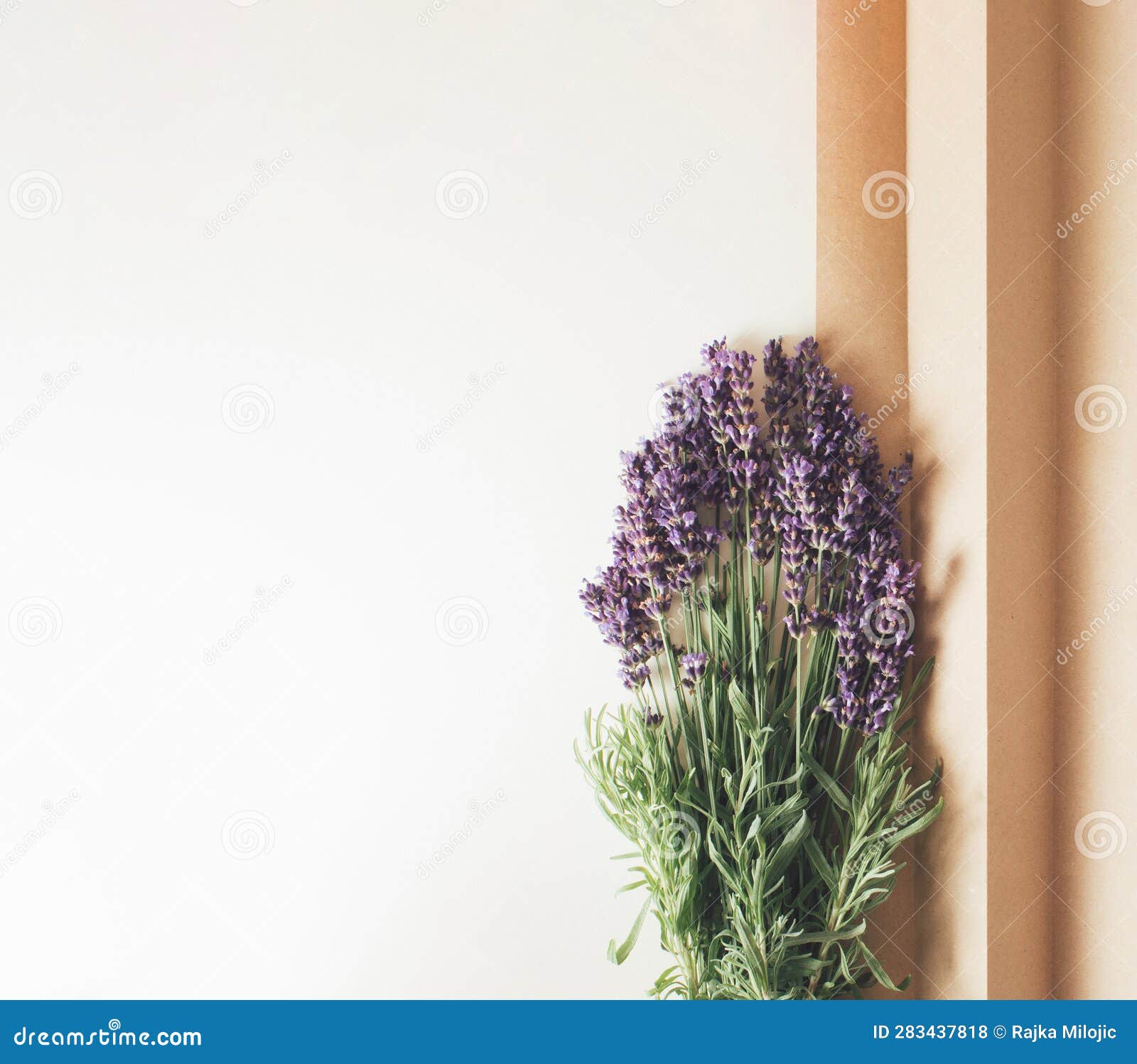 Creative Mock Up Layout Made of Lavender Branches with Copy Space on ...