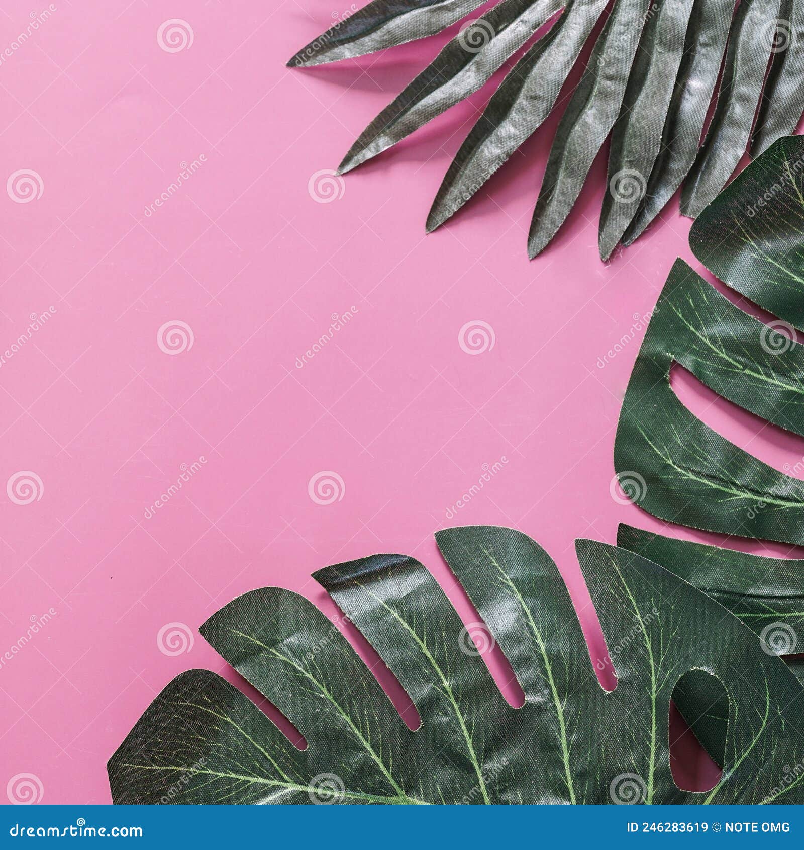 Creative Nature Layout Made of Tropical Leaves and Flowers. Stock Image ...
