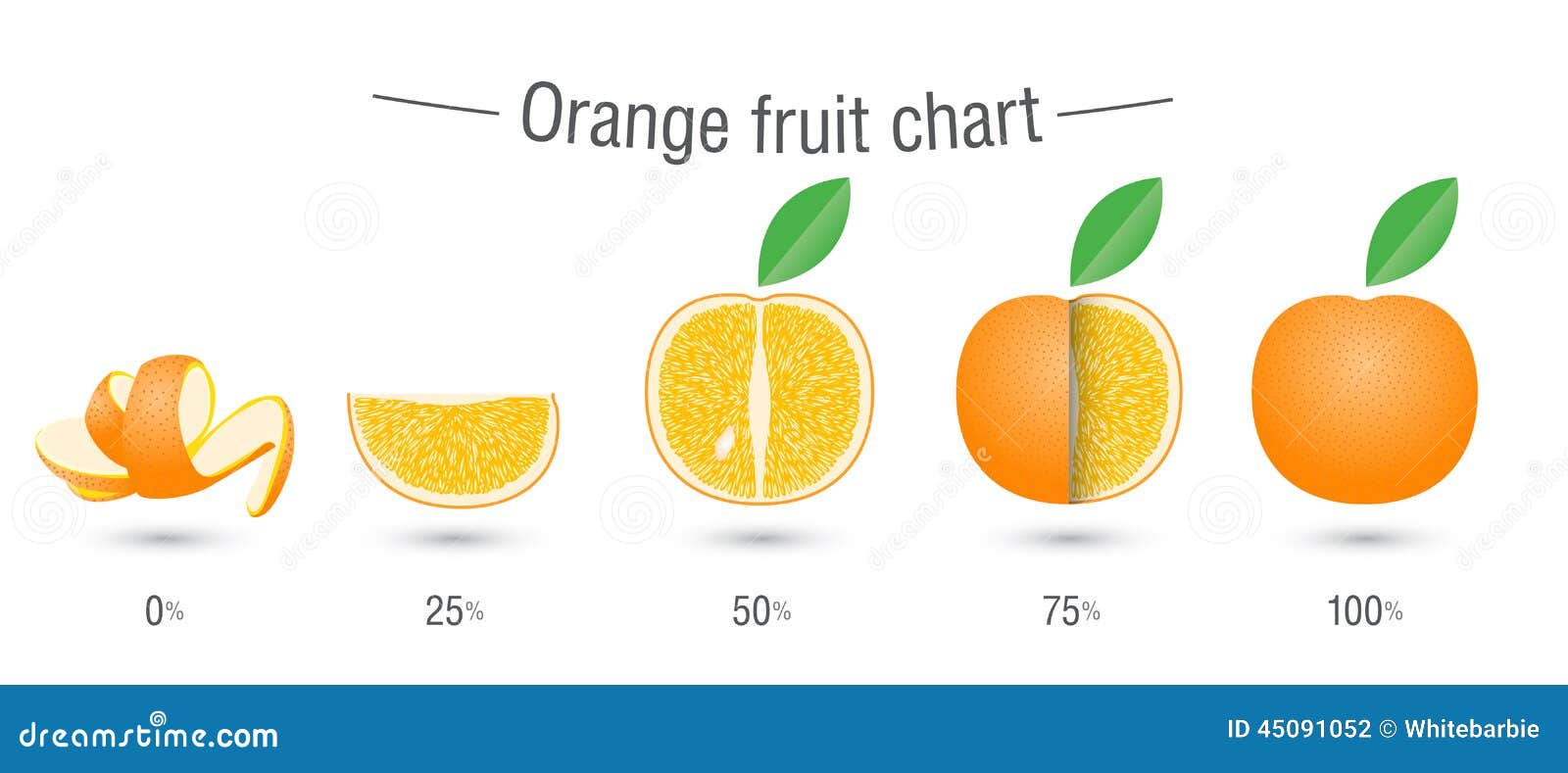 Creative Orange Fruit Chart Stock Vector - Illustration of sign, symbol ...