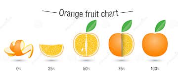 Creative Orange Fruit Chart Stock Vector - Illustration of sign, symbol ...