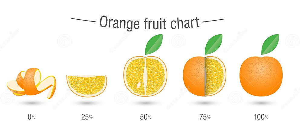 Creative Orange Fruit Chart Stock Vector - Illustration of sign, symbol ...