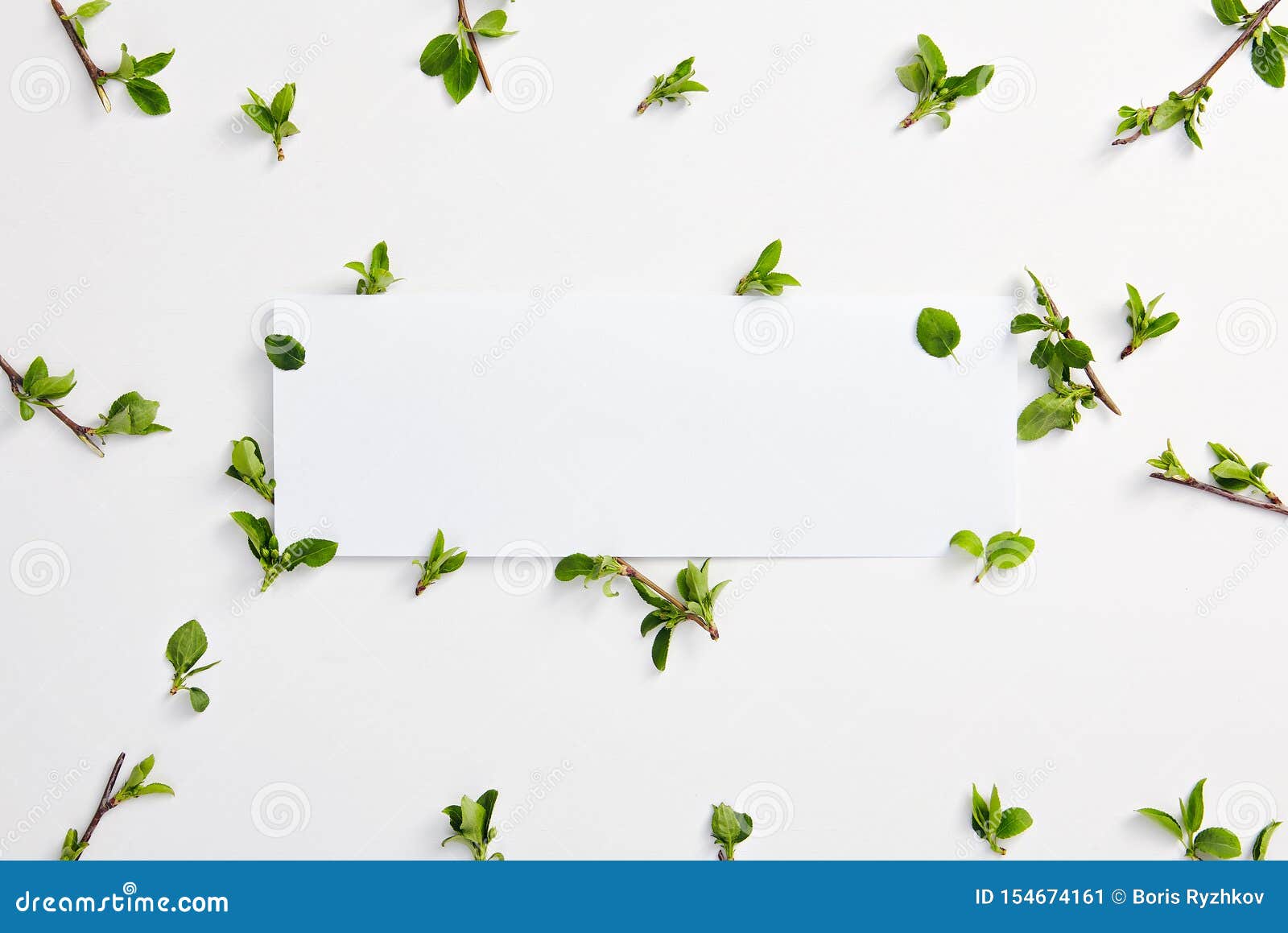 Creative Organic Eco Concept with Green Spring Leaves Border Stock ...