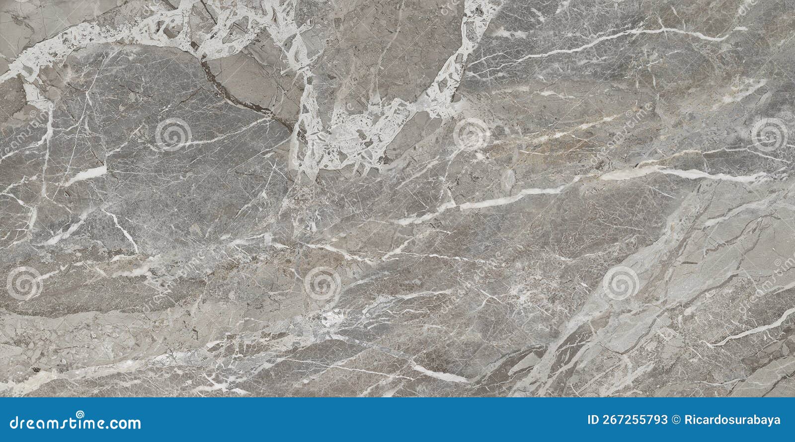 Stone Graphic Design Grey Shades and White Natural Veins for Home ...