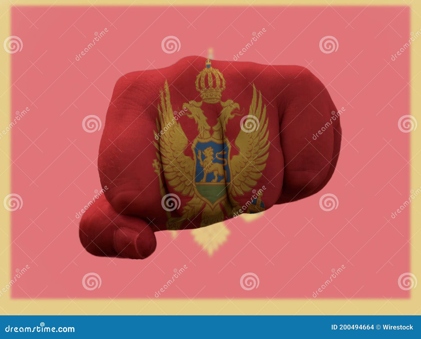 Creative Photo of a Hand with the National Flag of Montenegro Stock ...