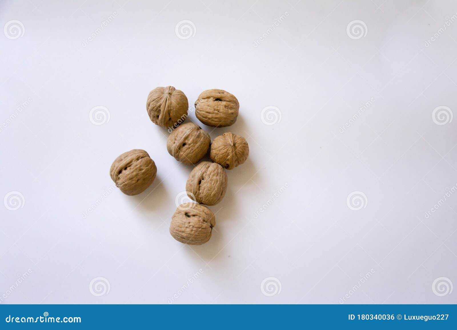 Walnut creativity stock photo. Image of blue, lake, gardening - 180340036