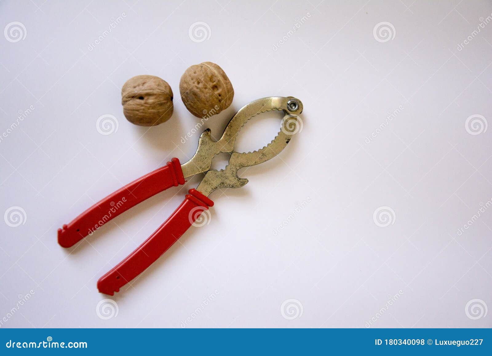 Walnut creativity stock photo. Image of great, good - 180340098