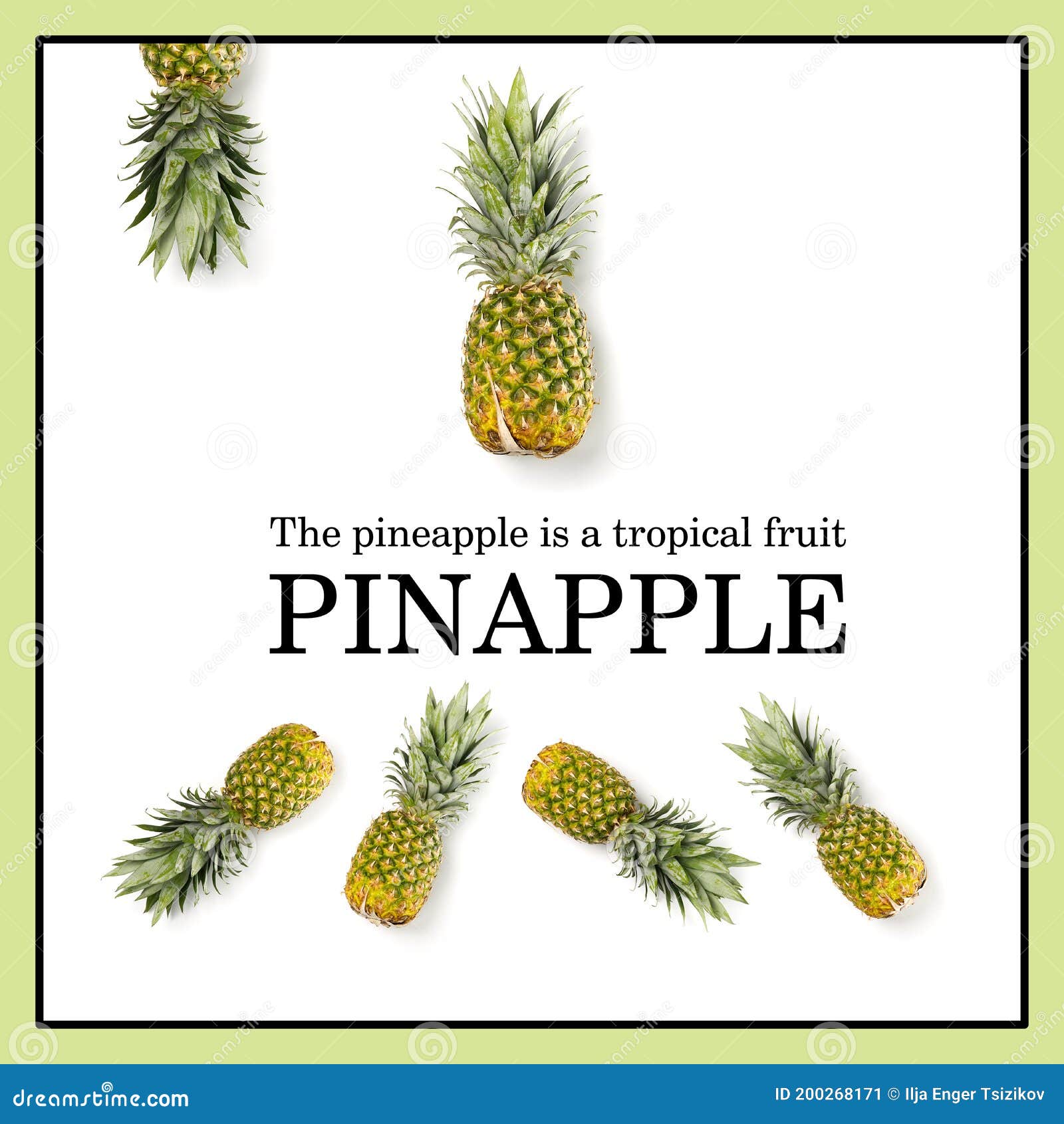 Creative Pineapple Layout with Sample Text. Pineapple on White ...