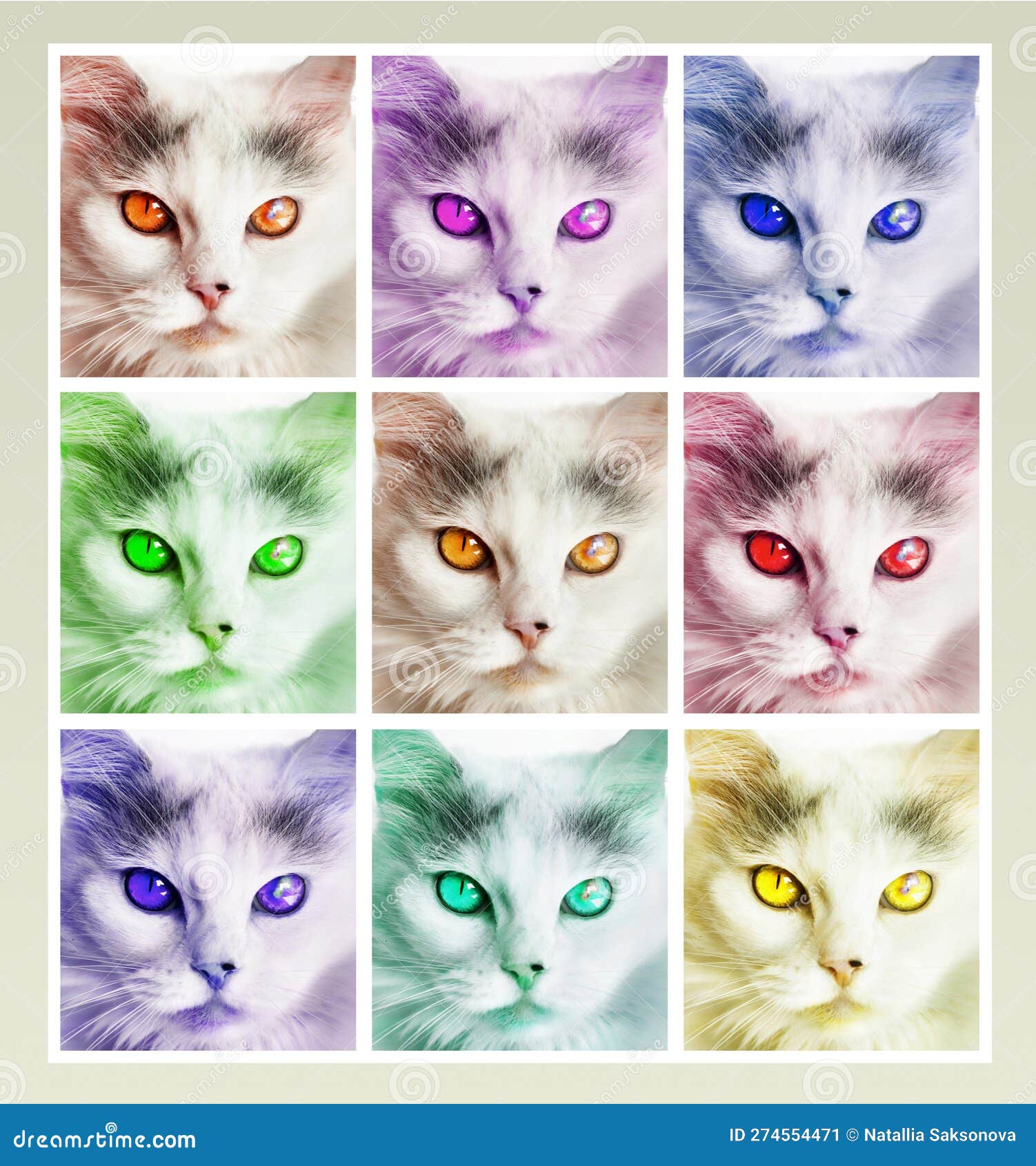 Creative Portrait of a Cat, a Collage of Images in Different Colors ...