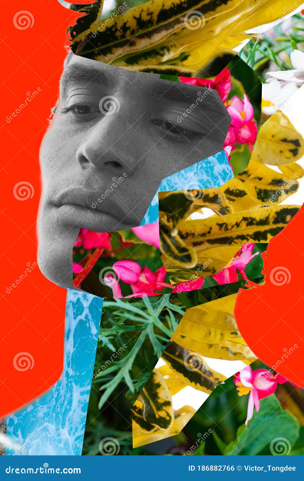 Creative Collage Mixed with a Portrait Stock Photo - Image of fashion ...