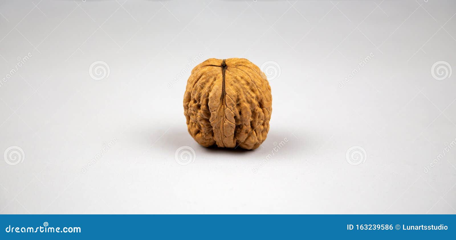 Creative Poster Walnut in Shell Closeup Gray Background with Copy Space ...