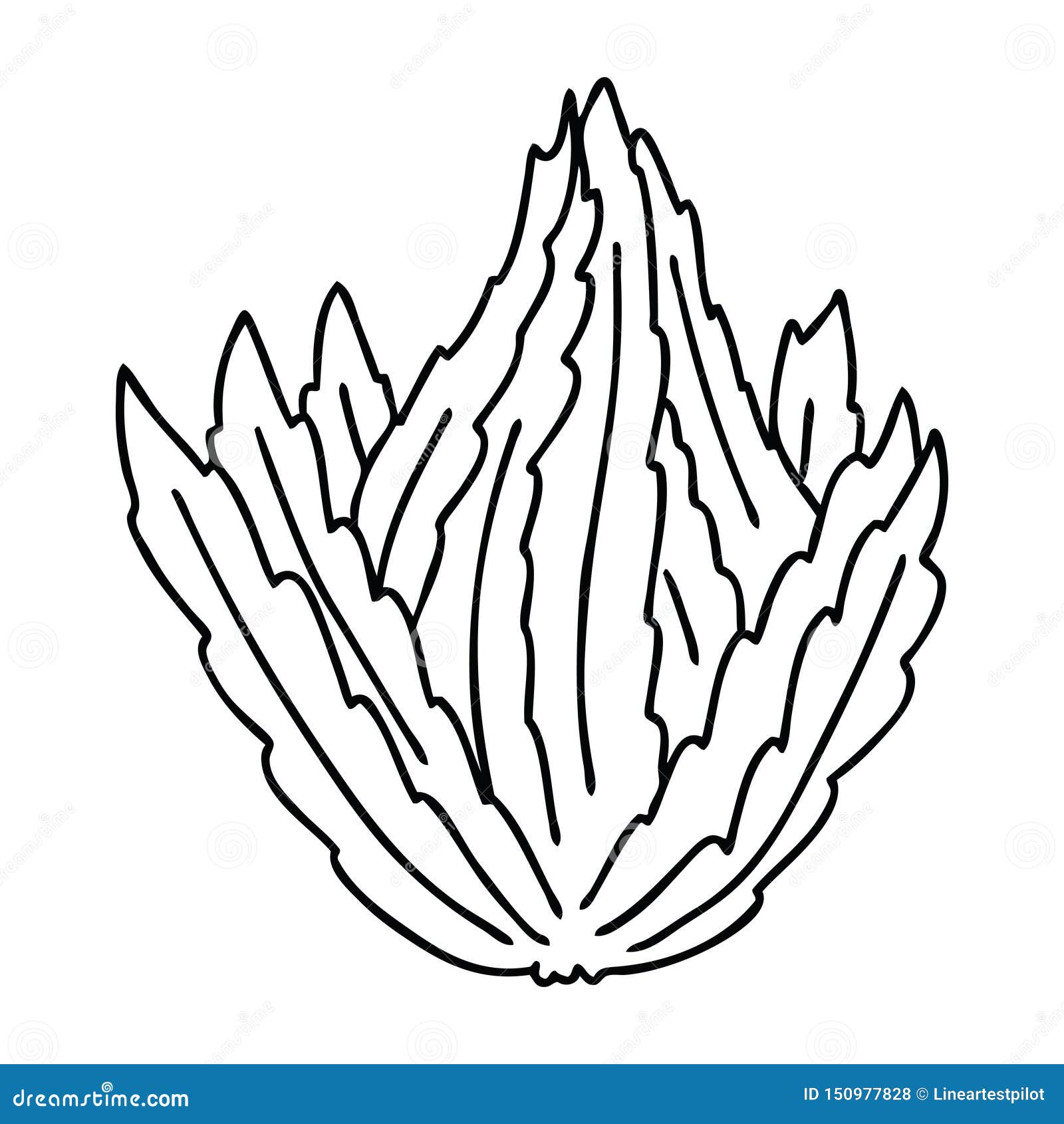 A Creative Quirky Line Drawing Cartoon Lettuce Stock Vector ...