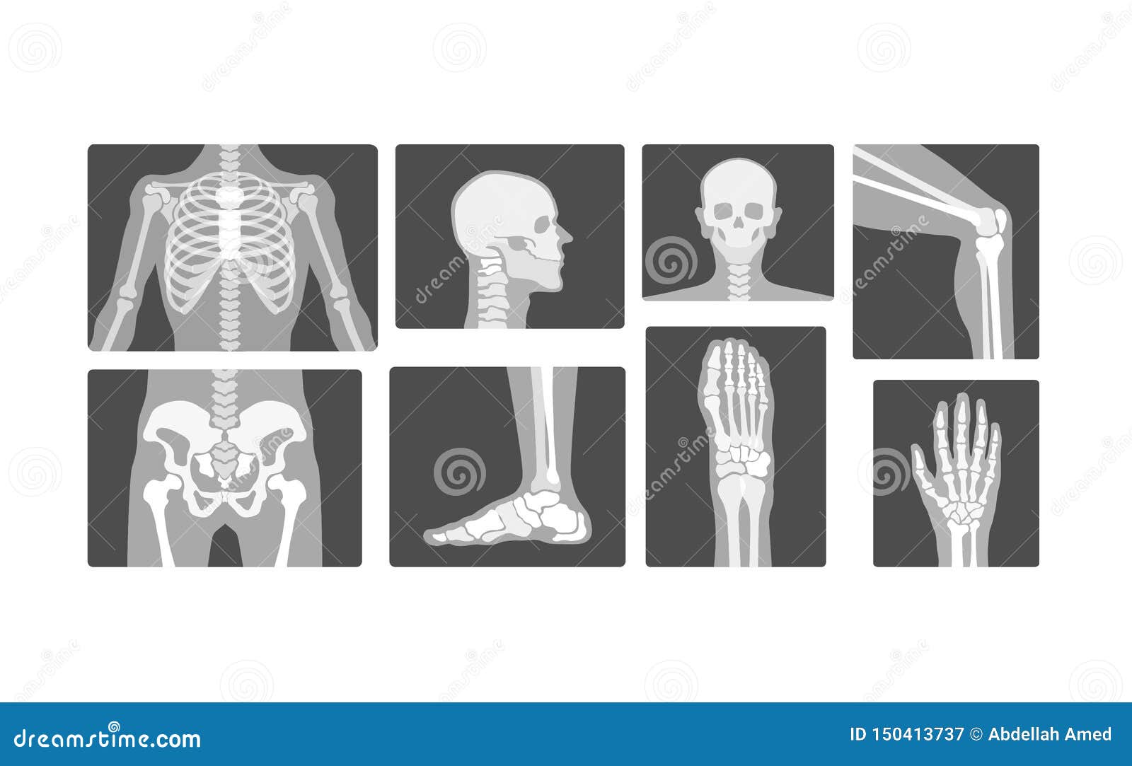 Radiology Technician Symbol